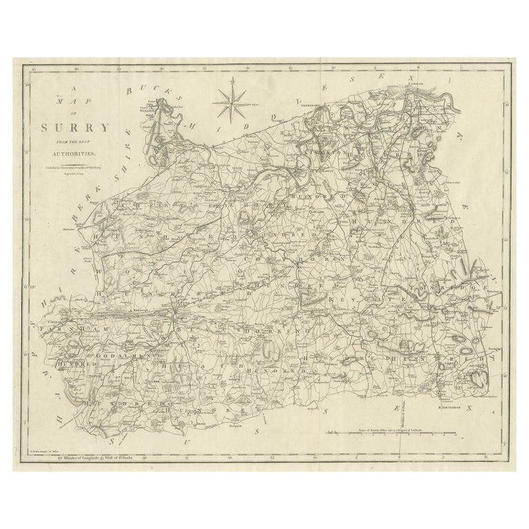 Large Antique County Map of Surrey, England For Sale at 1stDibs