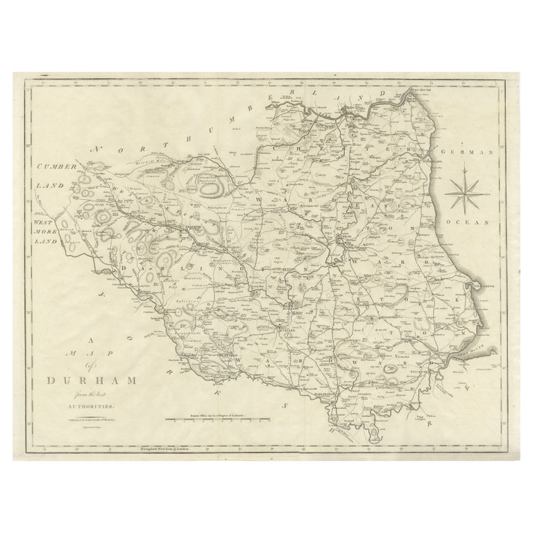 Large Antique County Map of Durham, England For Sale at 1stDibs
