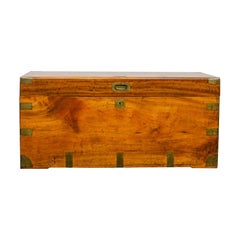 19th Century Camphor Wood Trunk For Sale at 1stDibs | camphor wood for sale