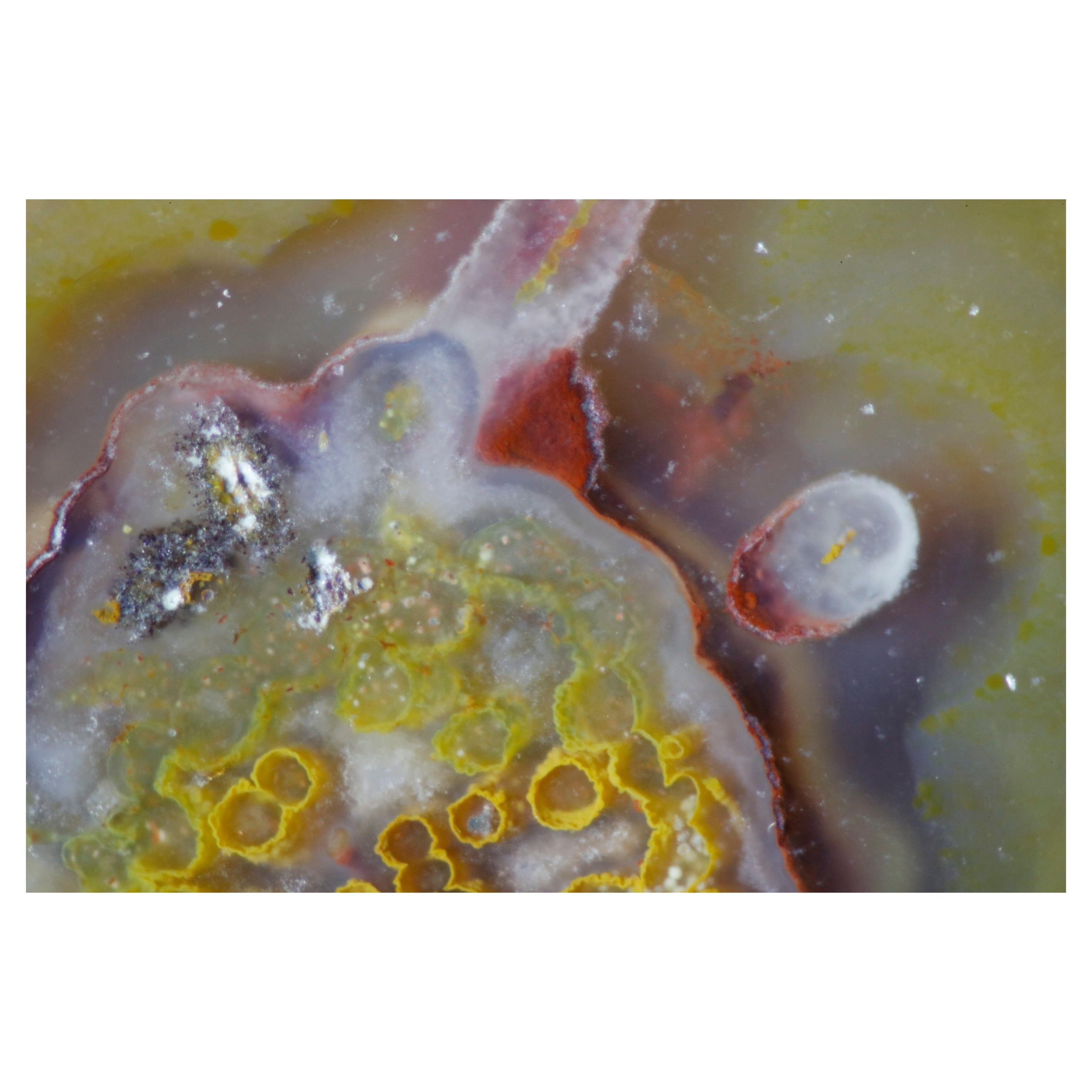 Micro Cosmic Photographic Print 05 by Desia Ava For Sale at 1stDibs