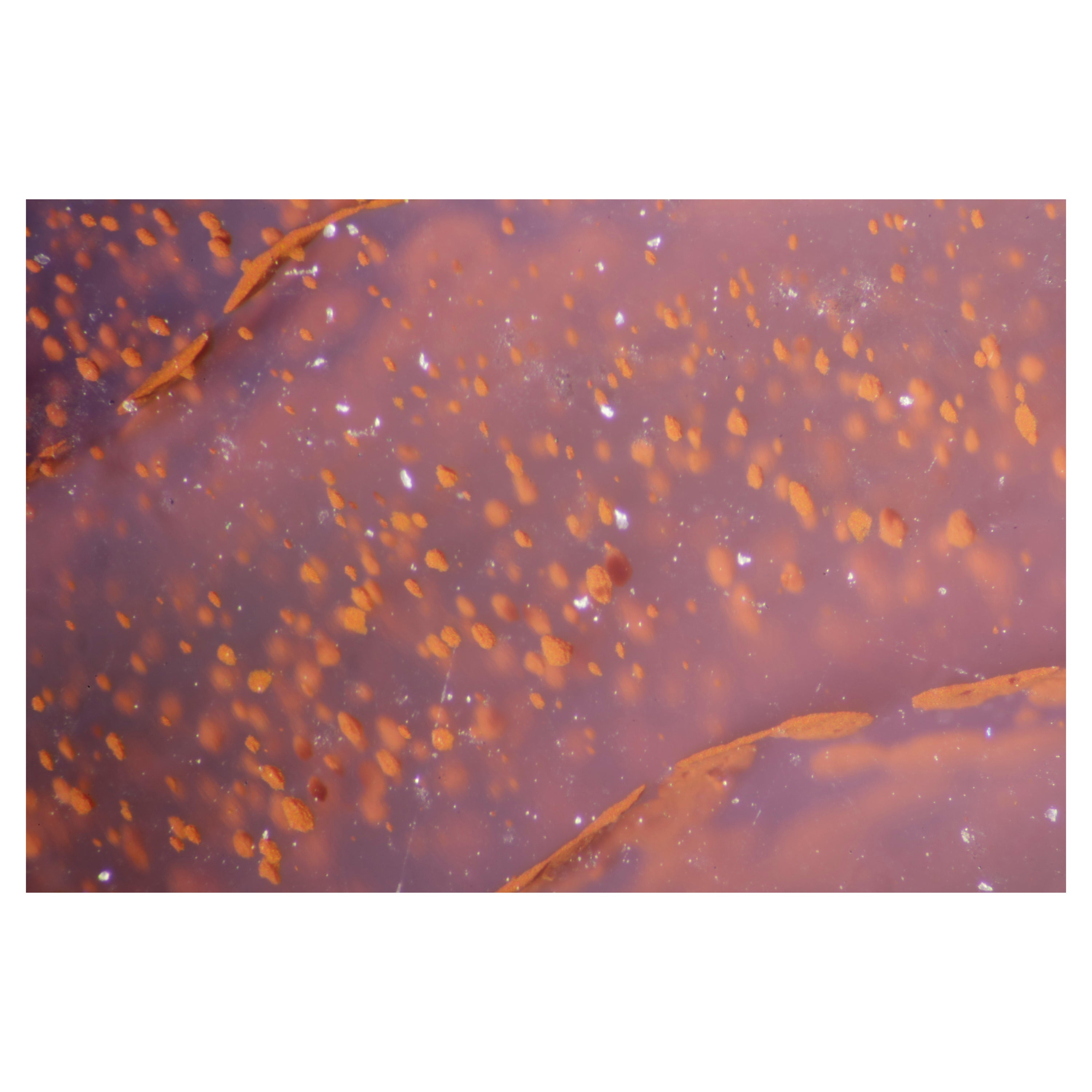 Micro Cosmic Photographic Print 08 by Desia Ava For Sale at 1stDibs