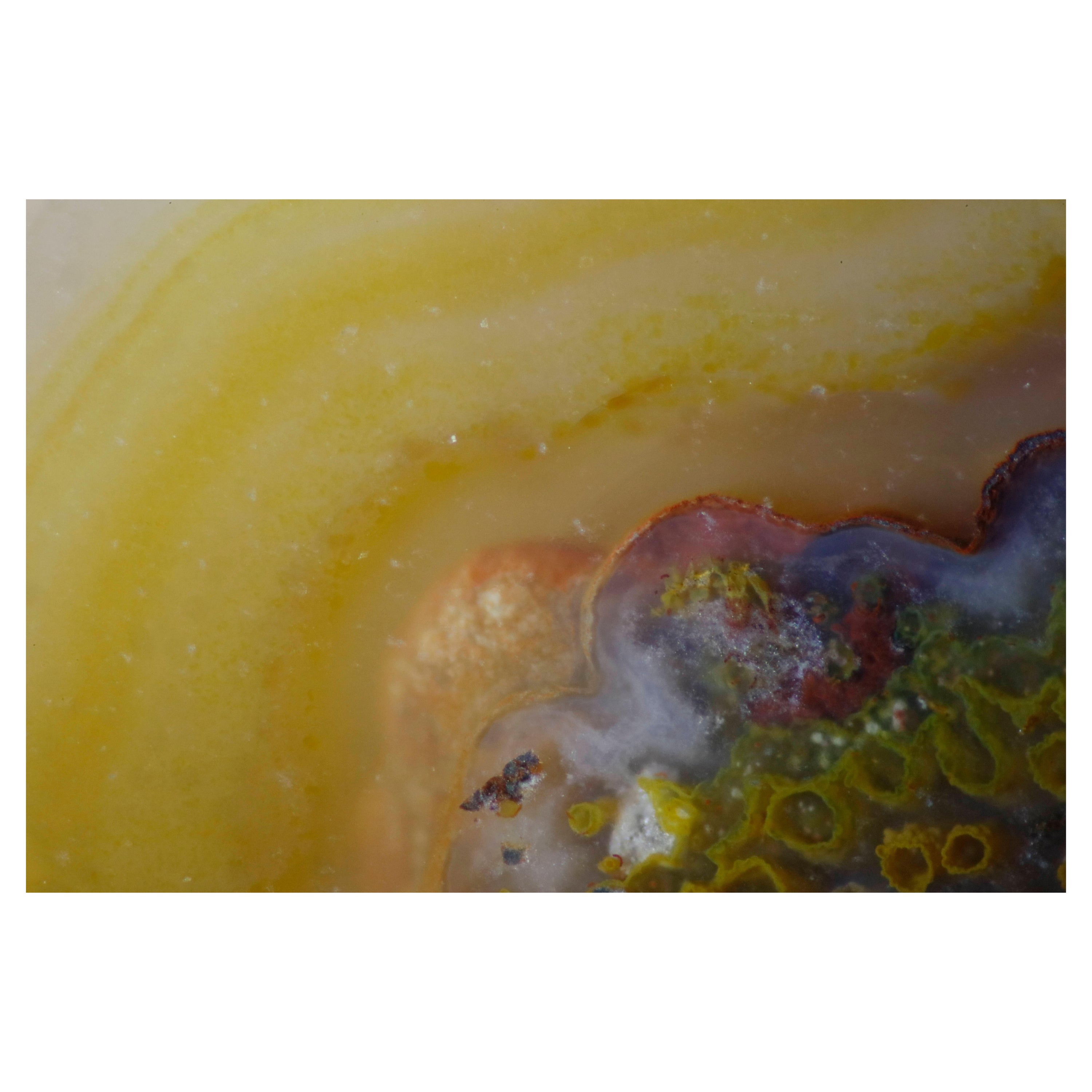 Micro Cosmic Photographic Print 010 by Desia Ava For Sale at 1stDibs