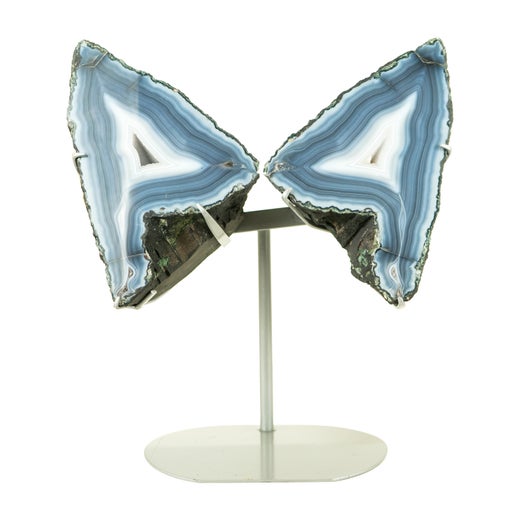 Blue Lace Agate Butterfly Geode Wings with AAA Agate and Amethyst Druzy ...