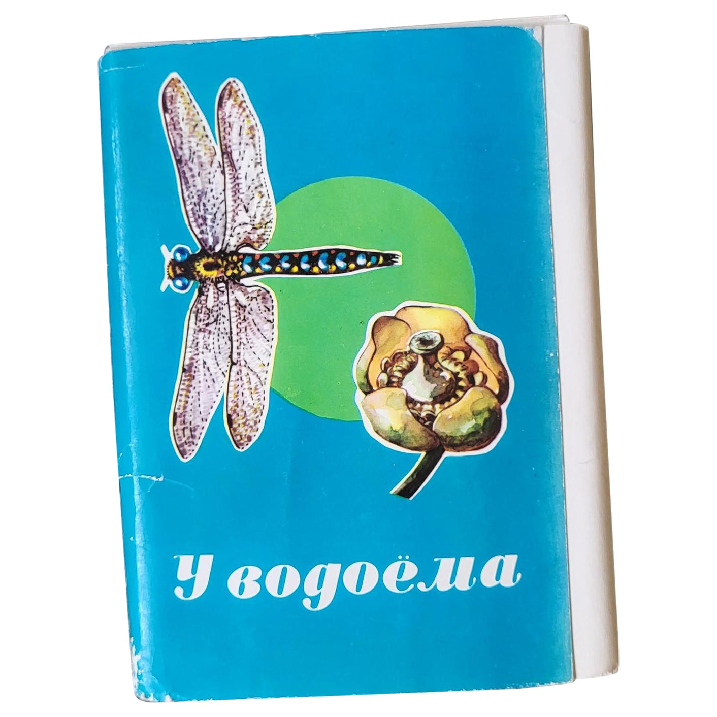 16-Piece Collection Resin Captured Flowers and Insects For Sale at ...