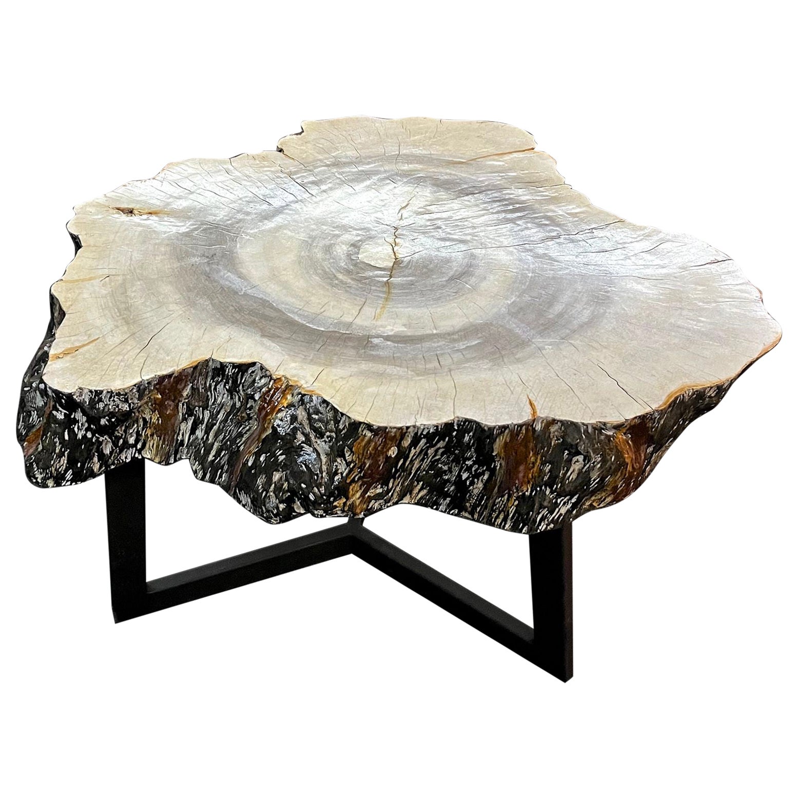 Teak Root Side Table, Petrified Wood Style, Hand Painted by Artist, IDN ...