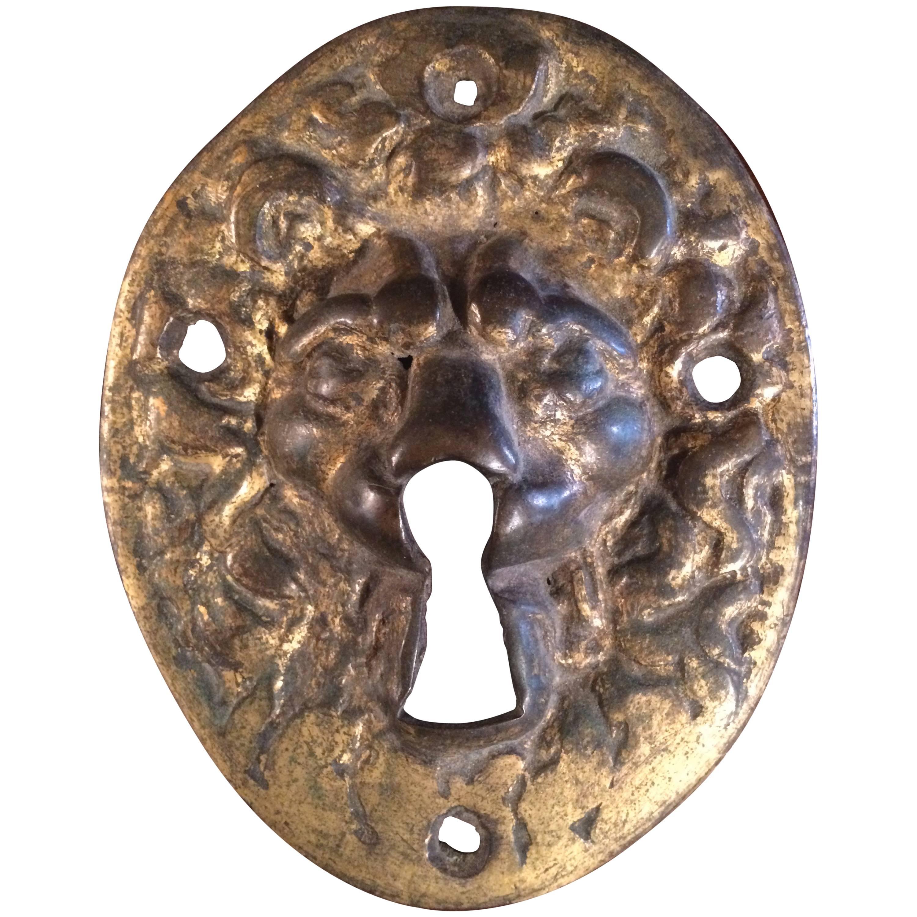 18th Century Gilt Bronze Lion Escutcheon at 1stDibs