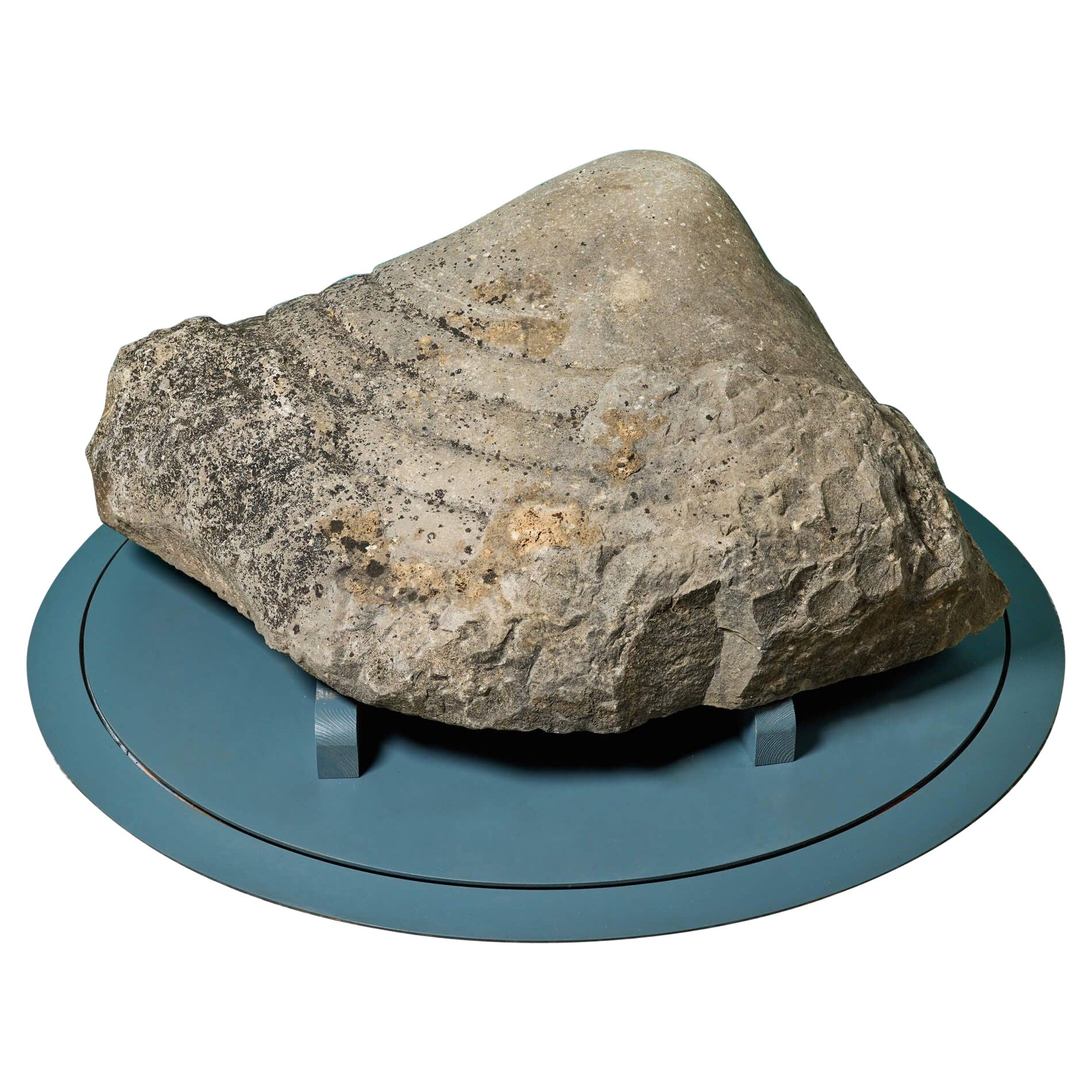 Large Carved Stone Clam Shell Sculpture For Sale at 1stDibs