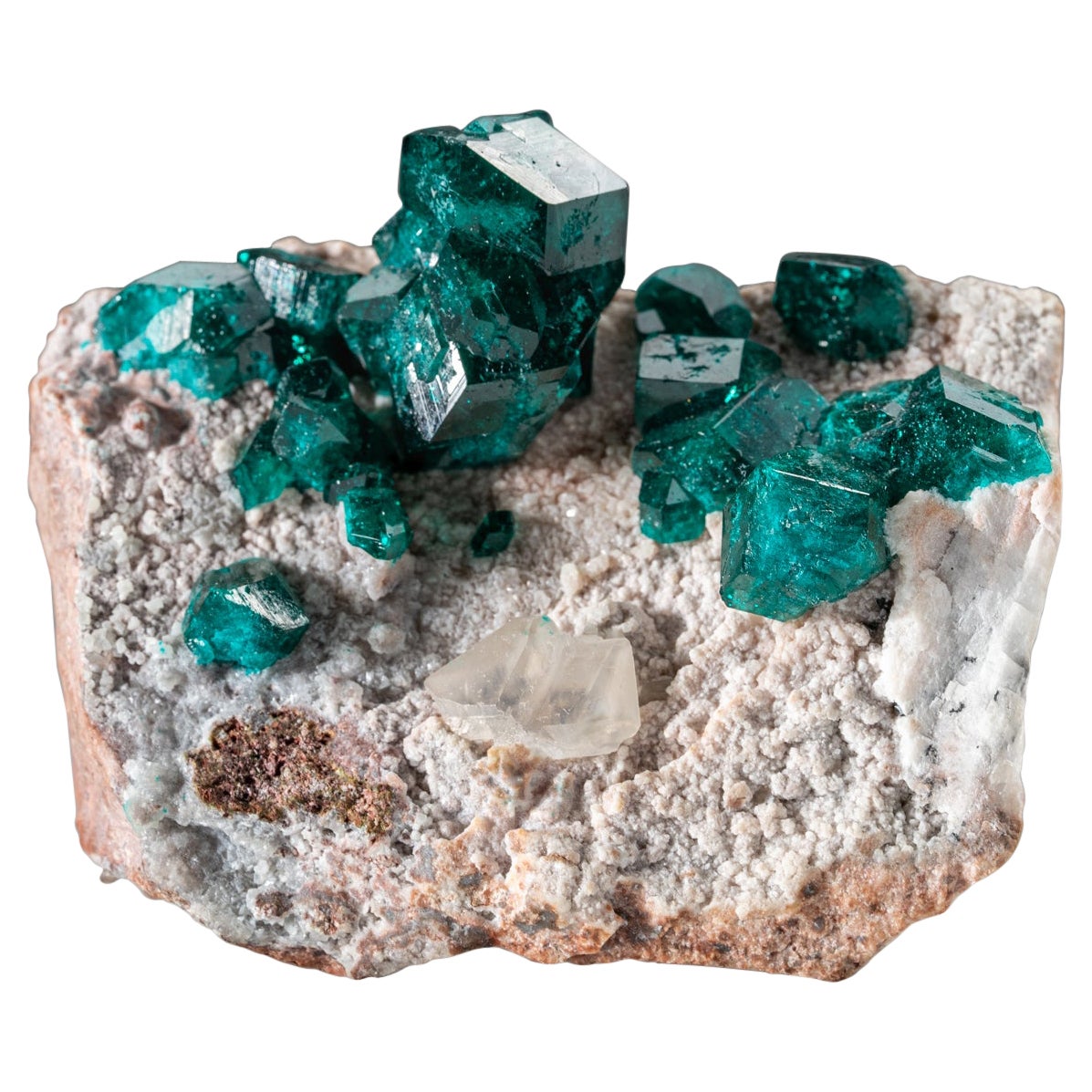 Antique Natural Specimens For Sale at 1stdibs | vintage natural ...