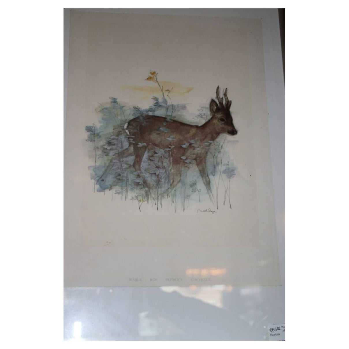 Nice Watercolour Painting with a Roebuck Grazing For Sale at 1stDibs