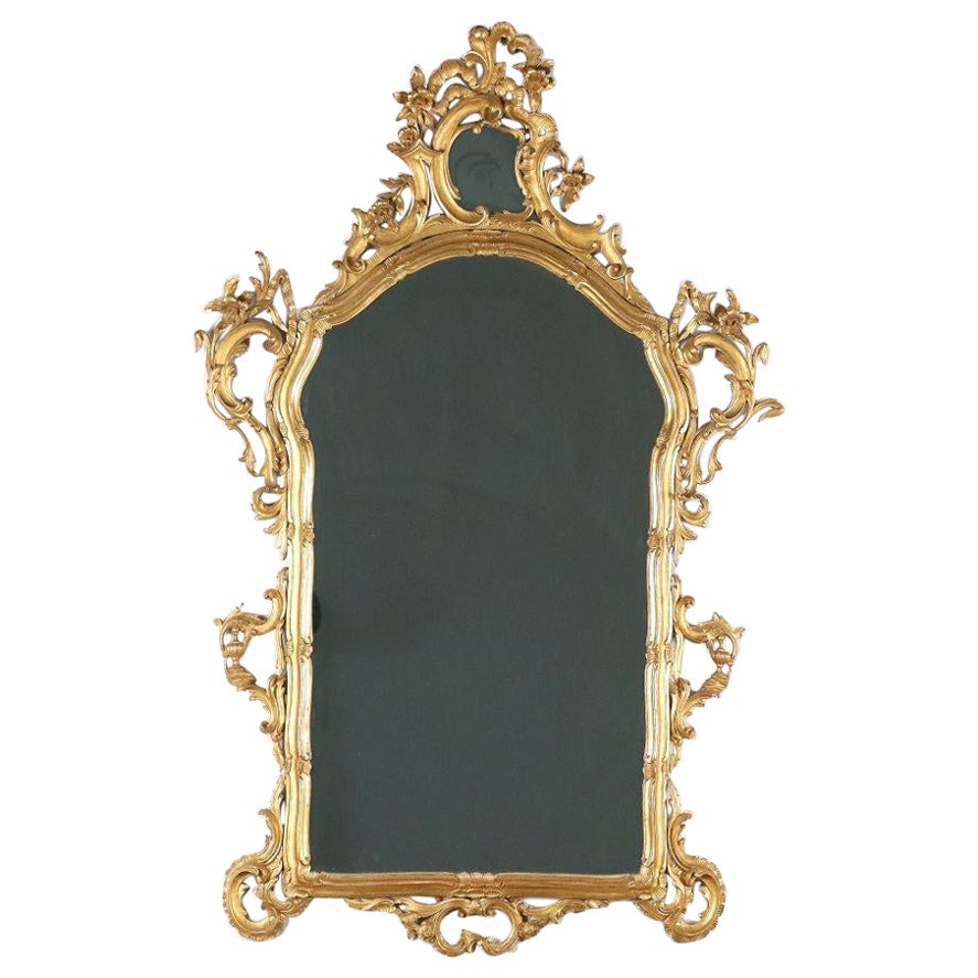 Antique Rococo Style Ornate Carved Floor Wall Mirror For Sale at 1stDibs