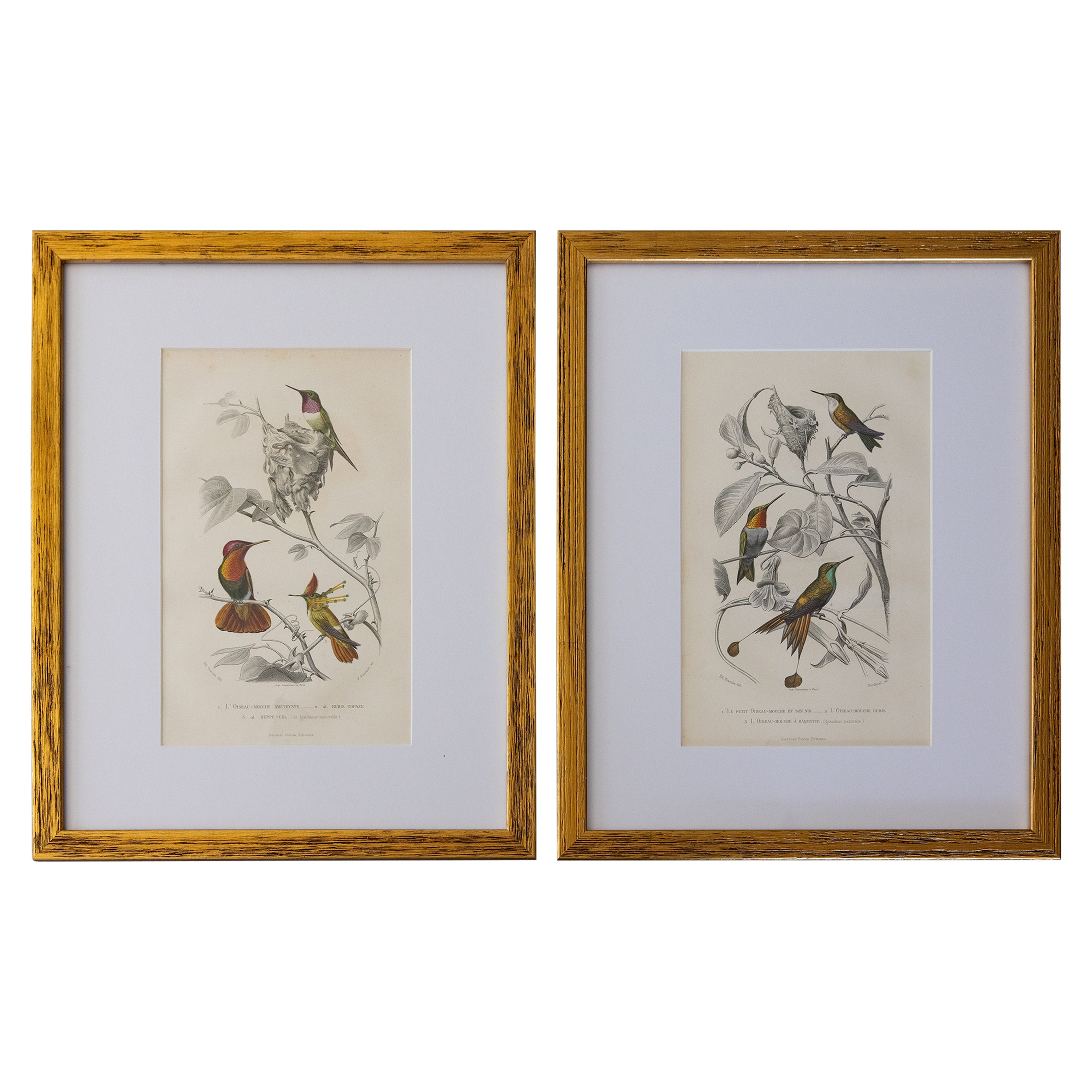 Custom Framed Antique Bird Engravings - Set of Two For Sale at 1stDibs