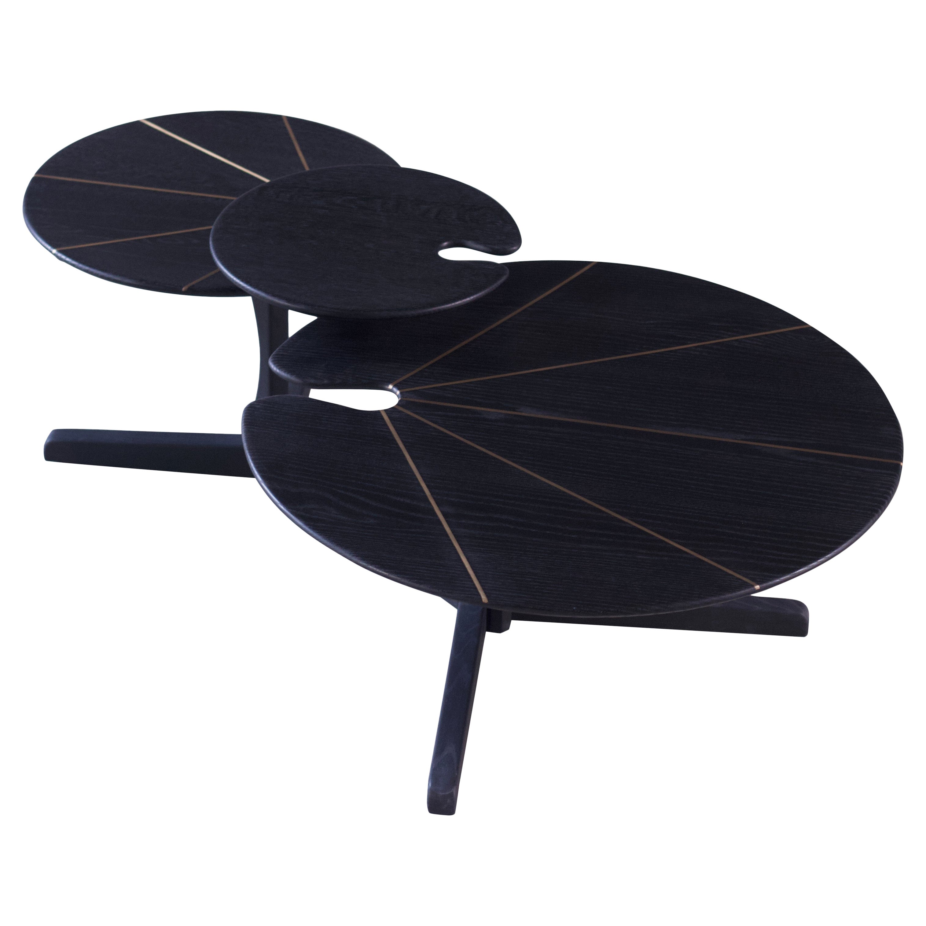 Kaluva Coffee Table by Esvee Atelier For Sale at 1stDibs | kaluva designs