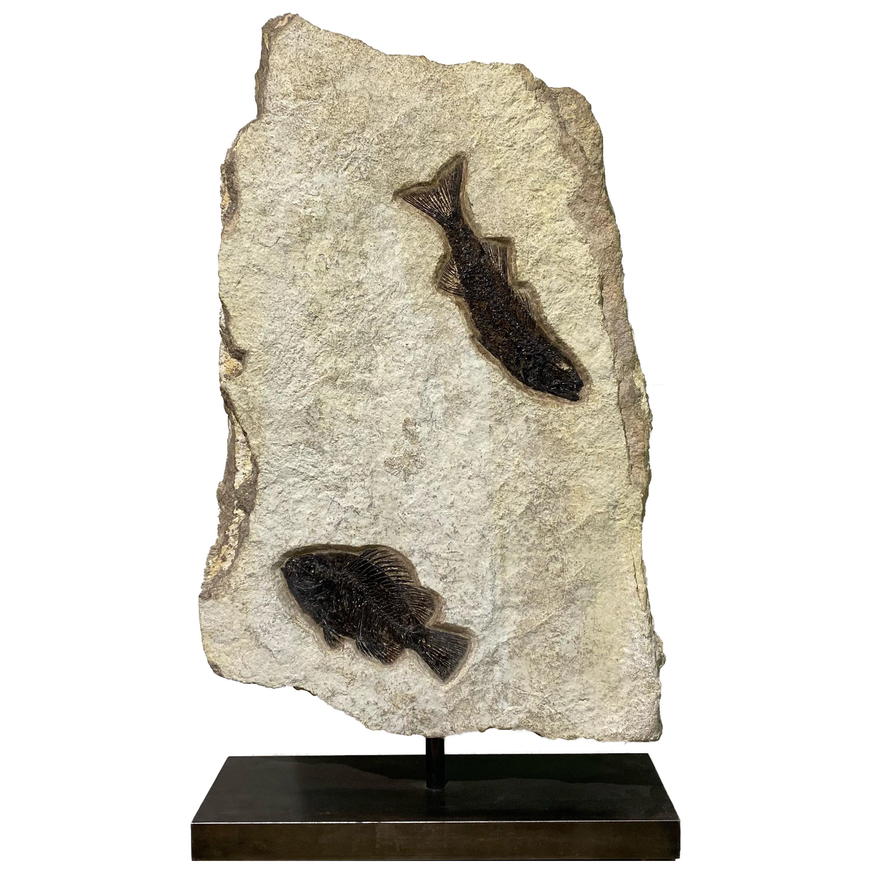 Reticulated vintage large silver plated fish For Sale at 1stDibs