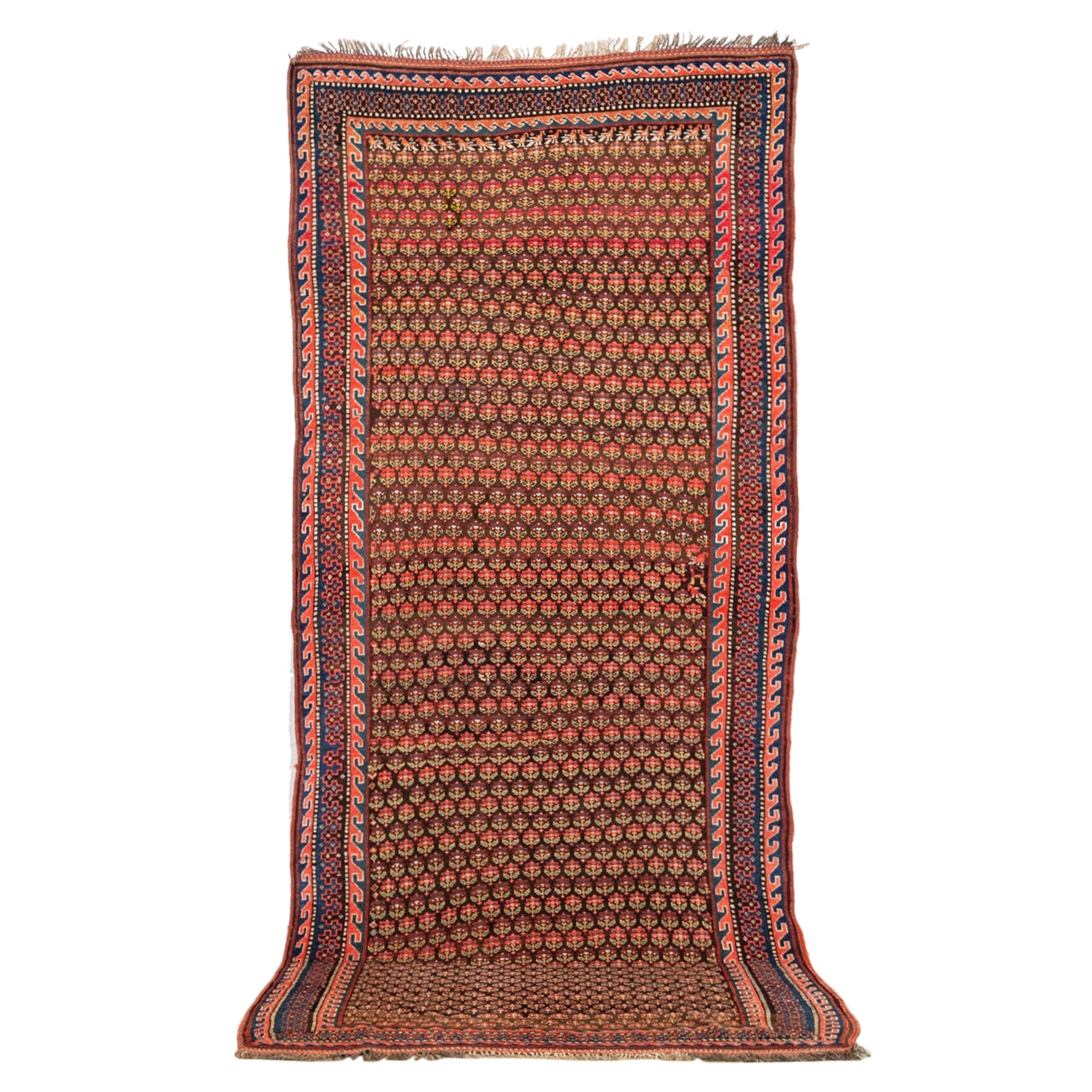 Antique Kurdish Pink and Red Wool Floor Rug, Late 1800s For Sale at 1stDibs