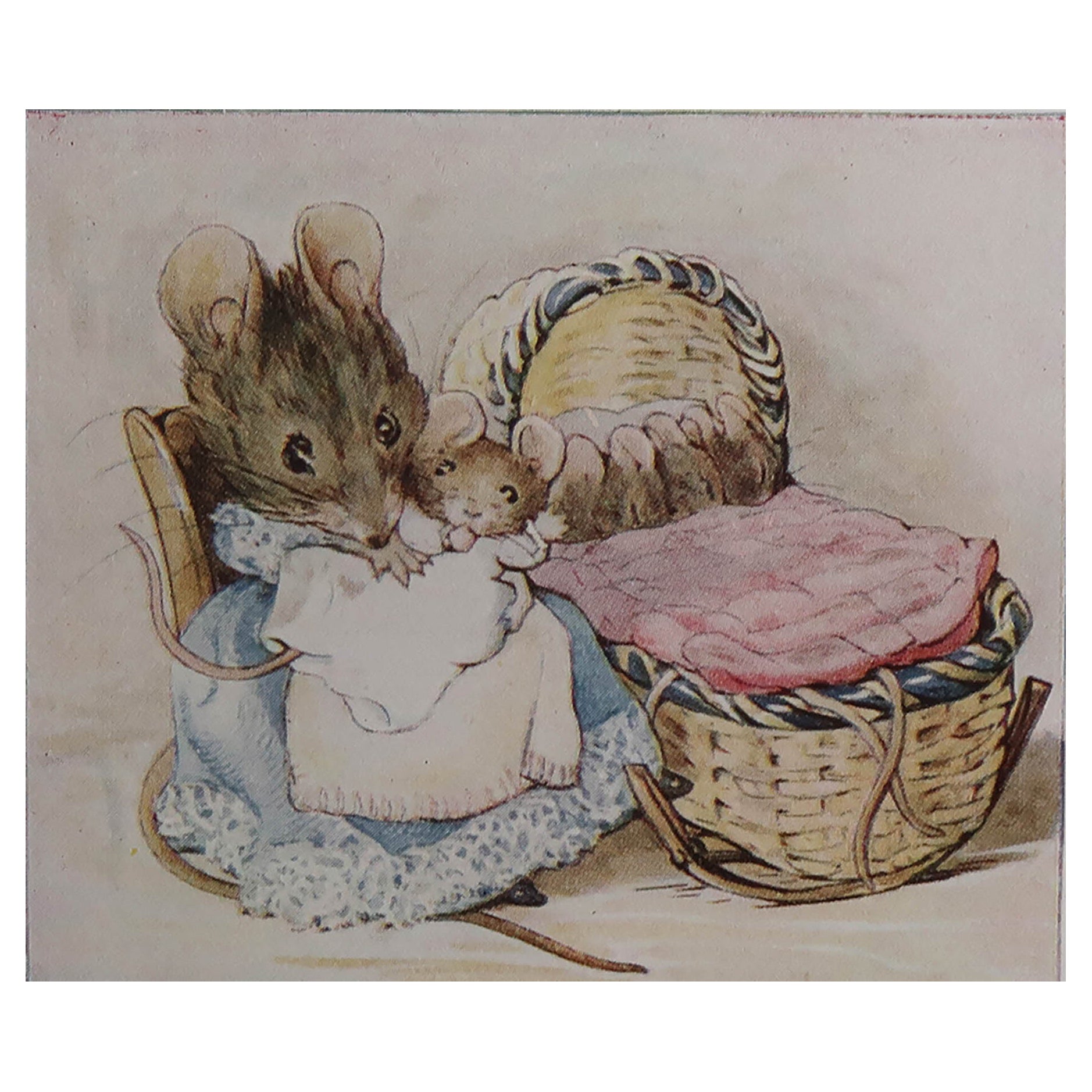 Original Vintage Beatrix Potter Print. Peter Rabbit And Friends C.1905 ...