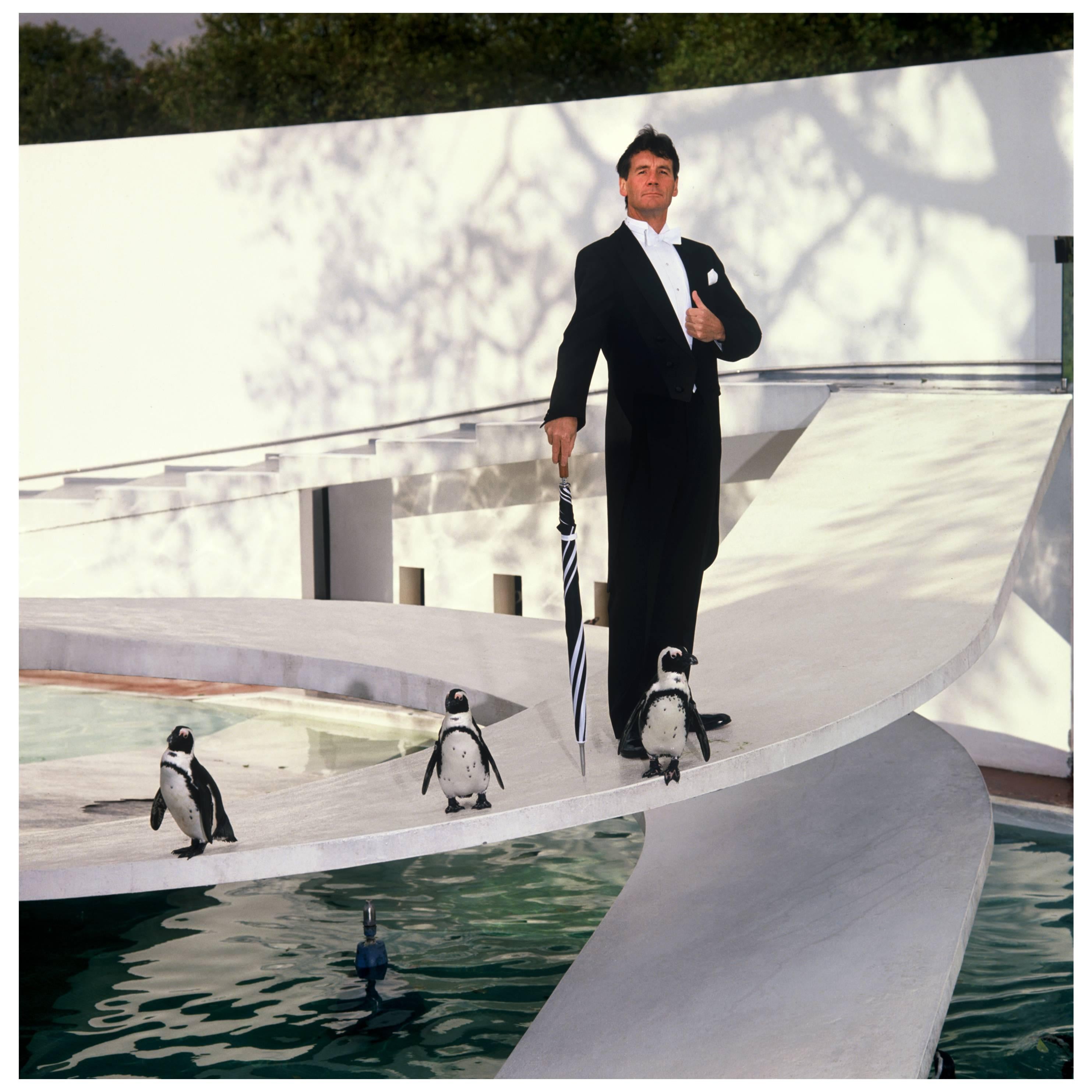 Dudley Reed, Mr. Balloon Man, 1993 For Sale at 1stdibs