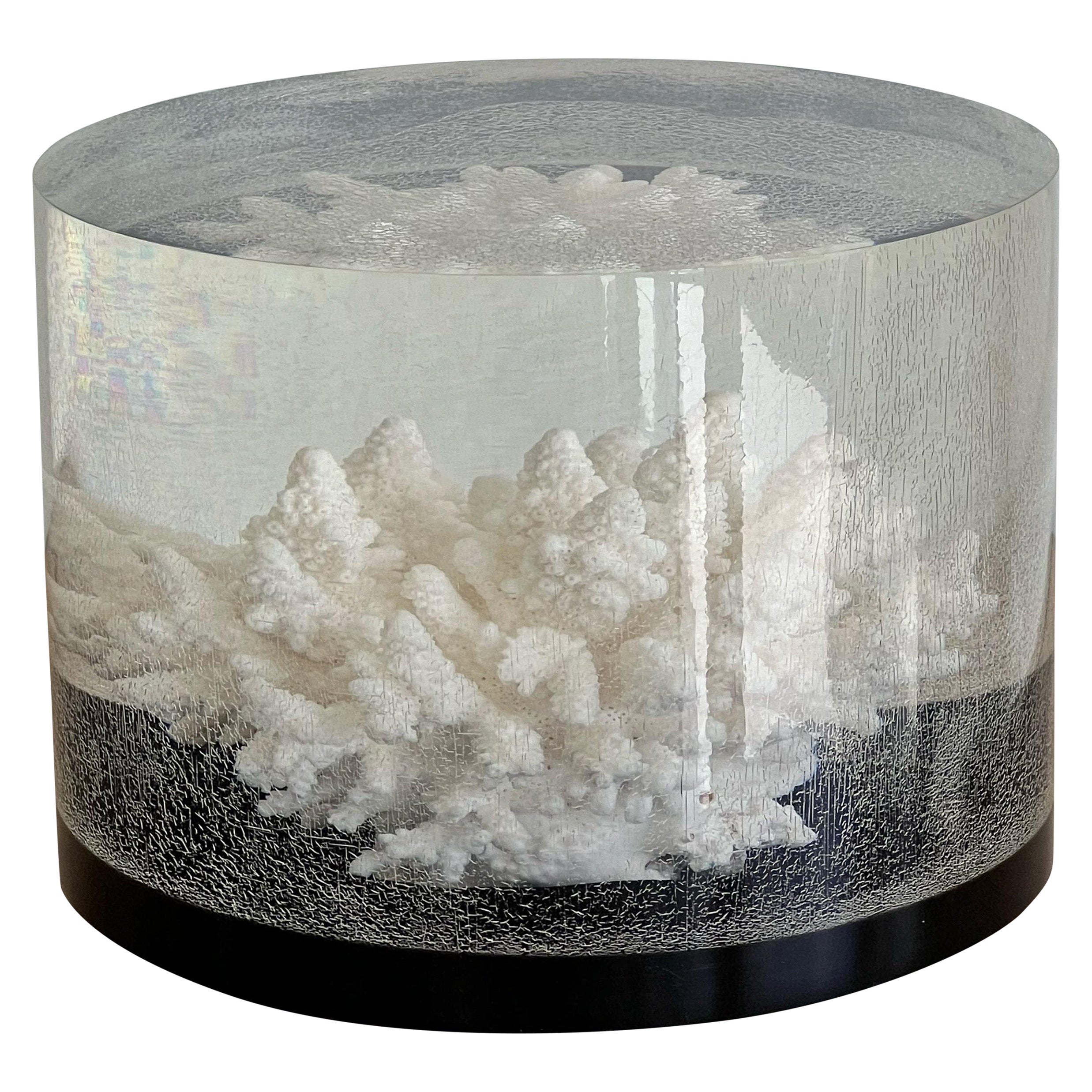 Large Coral Specimen Encase in Lucite Modern Sculpture For Sale at 1stDibs