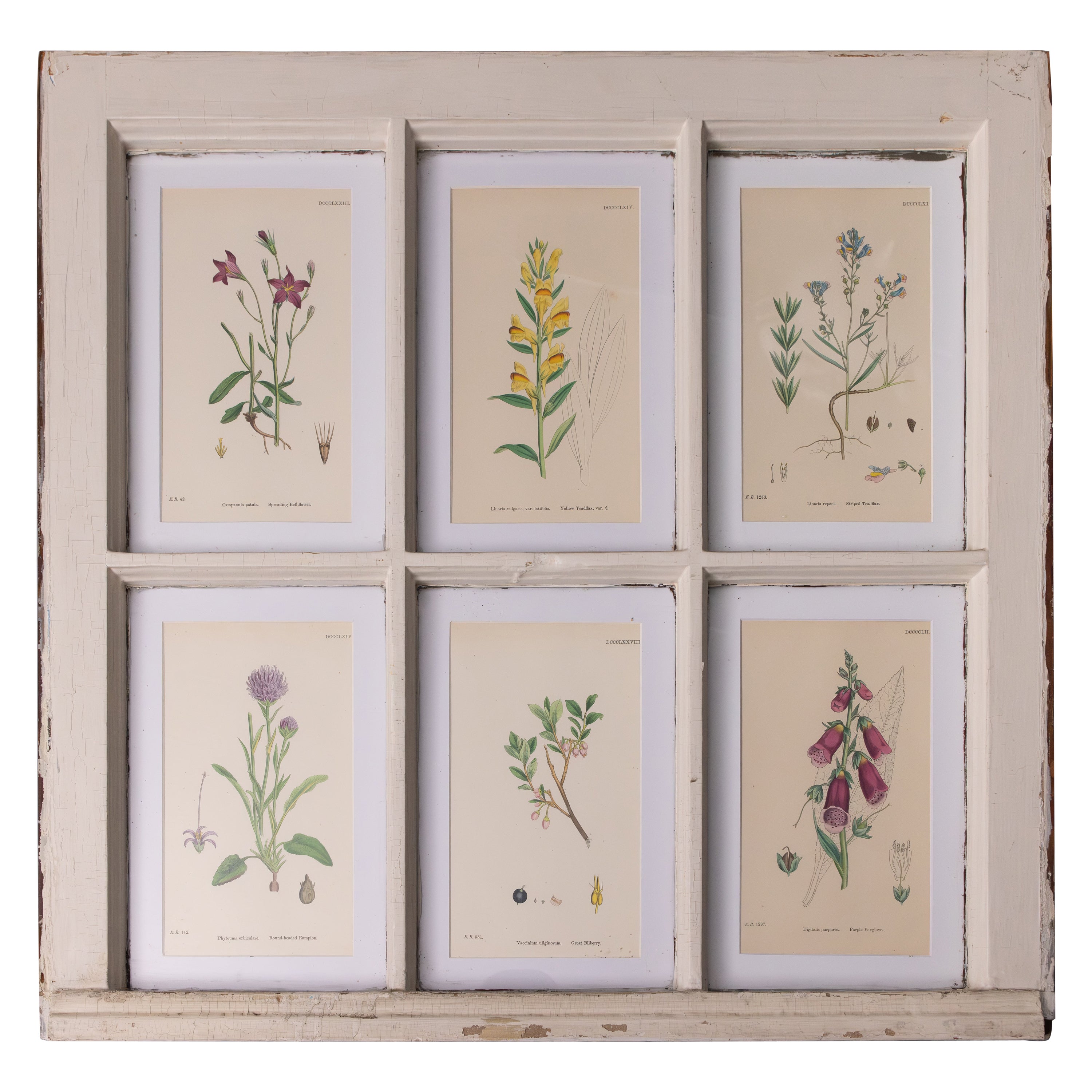 Antique Arts and Crafts Window Sashes with 19th Century Botanicals For ...