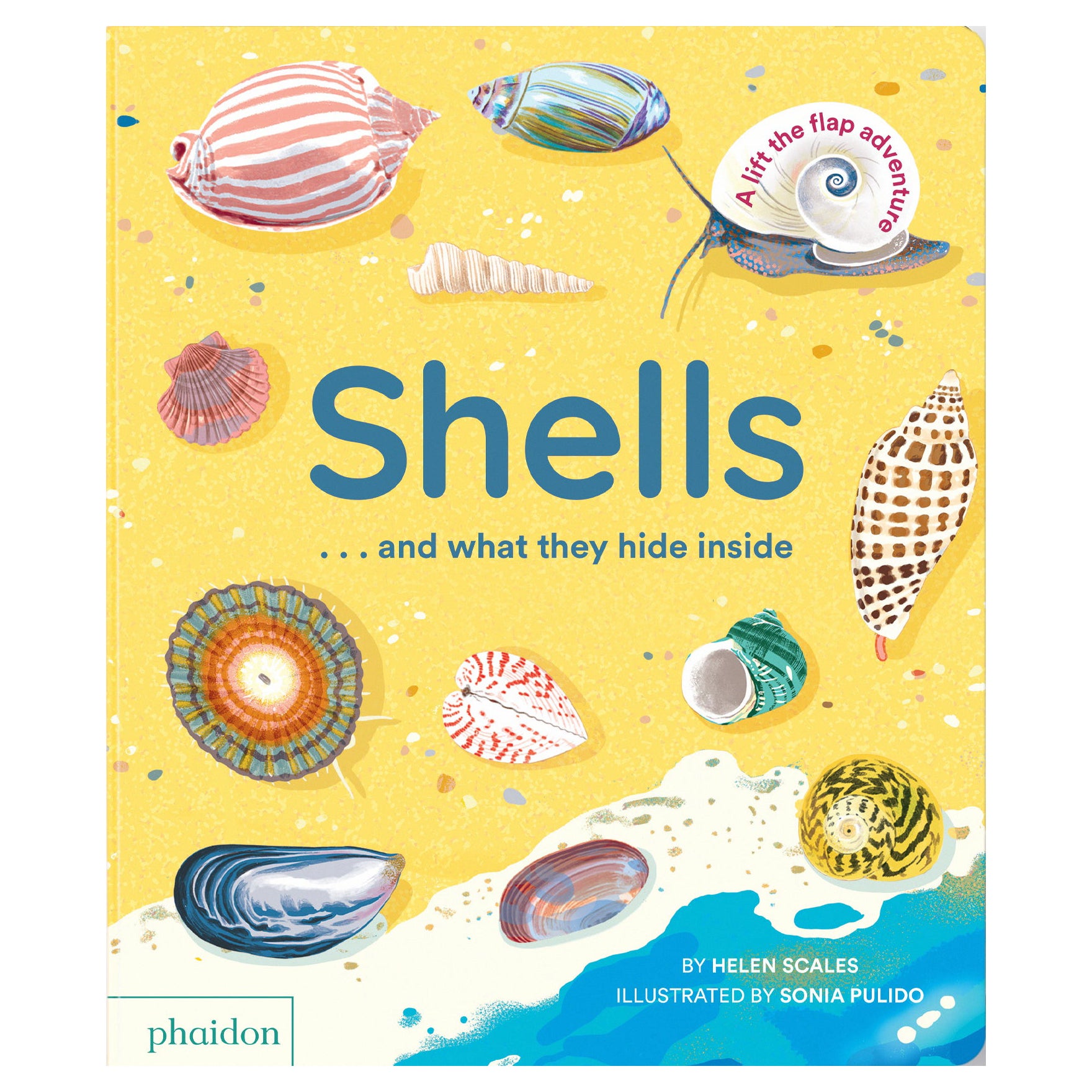 Shells... and what they hide inside at 1stDibs