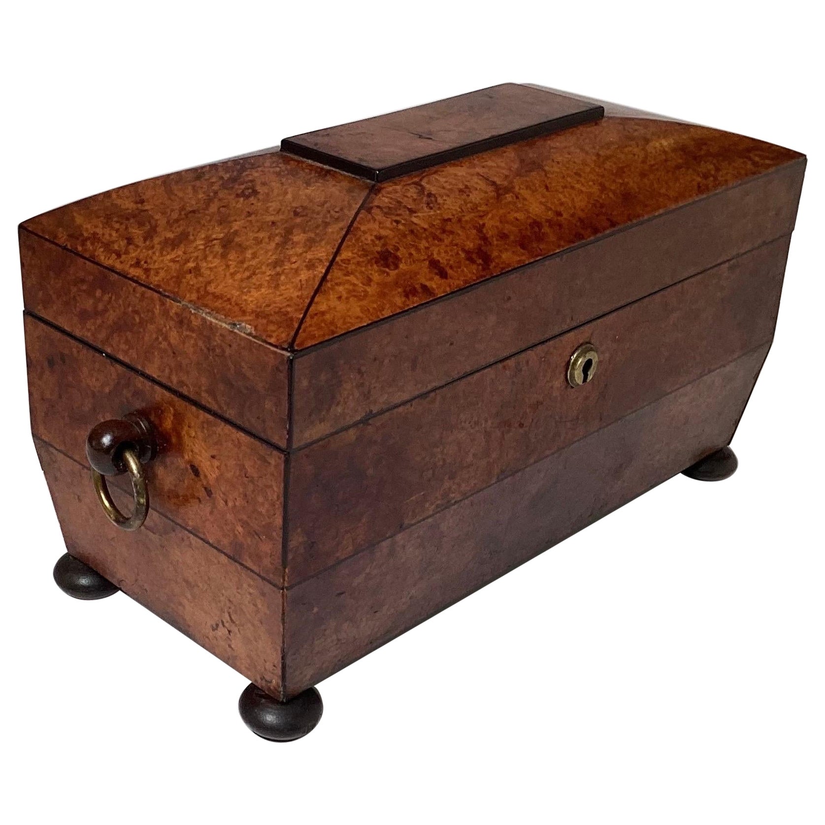 Classic English Mahogany Mid 19th Century Tea Daddy For Sale at 1stDibs