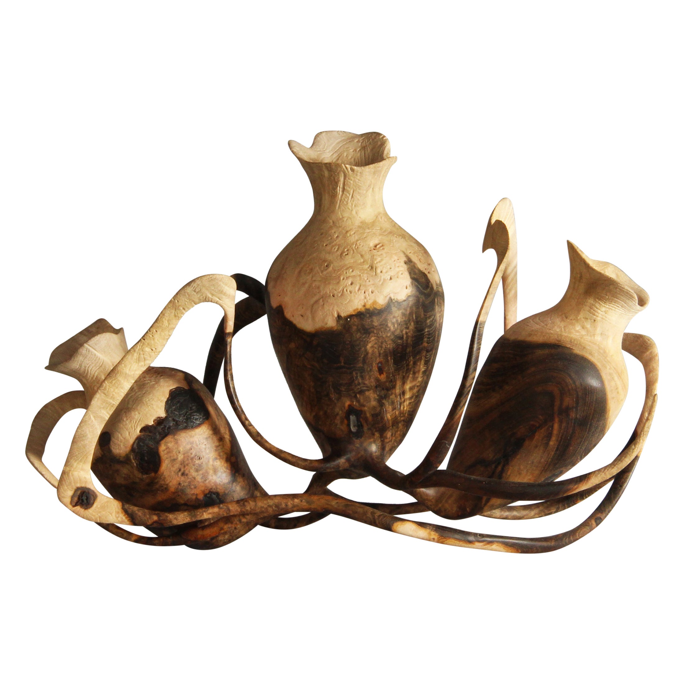 Dark Shell Tree by Alain Mailland wood sculpture For Sale at 1stDibs