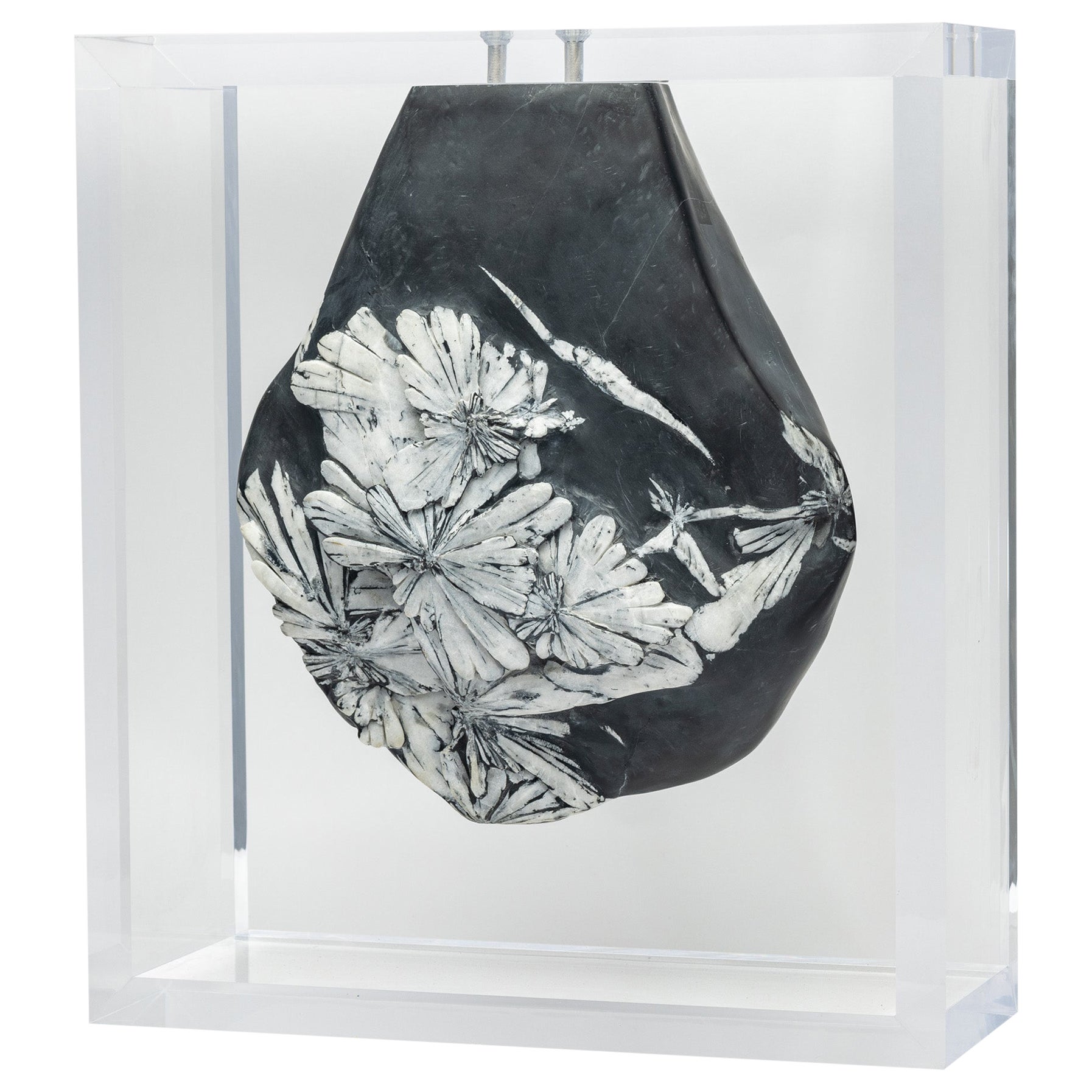 Chrysantemum Stone mounted in original design acrylic base For Sale at ...