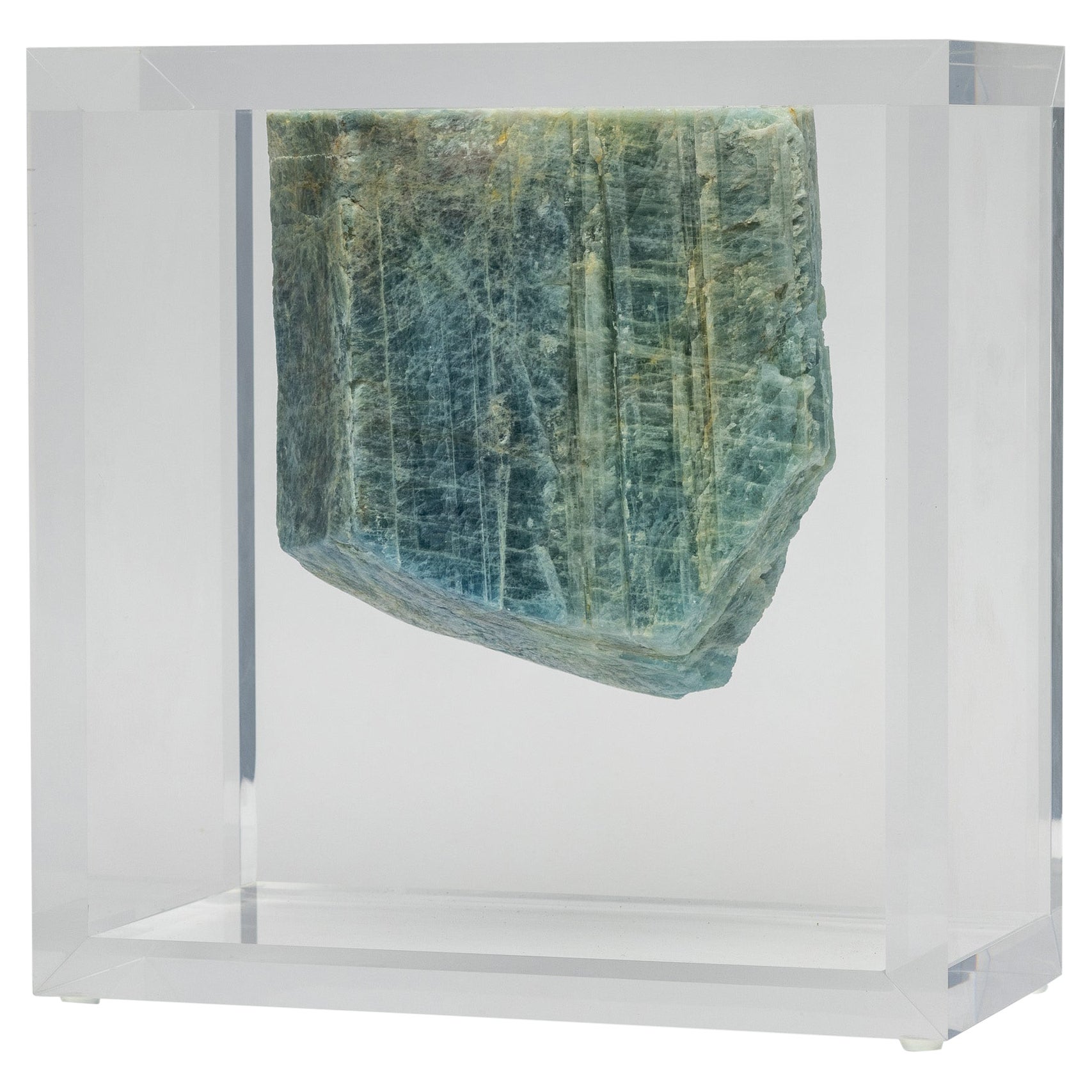 Chrysantemum Stone mounted in original design acrylic base For Sale at ...