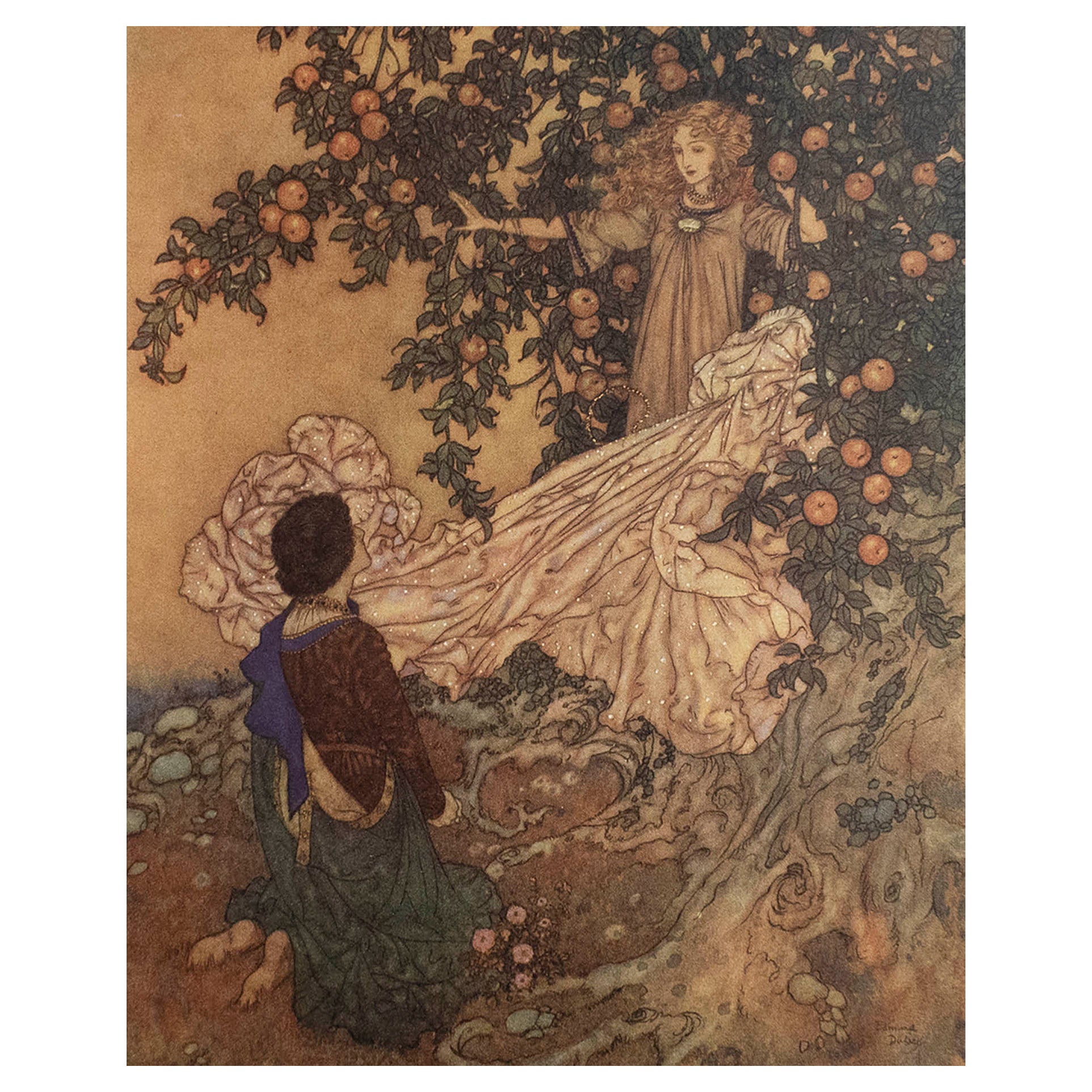 Original Vintage Print by Edmund Dulac, 1911. For Sale at 1stDibs