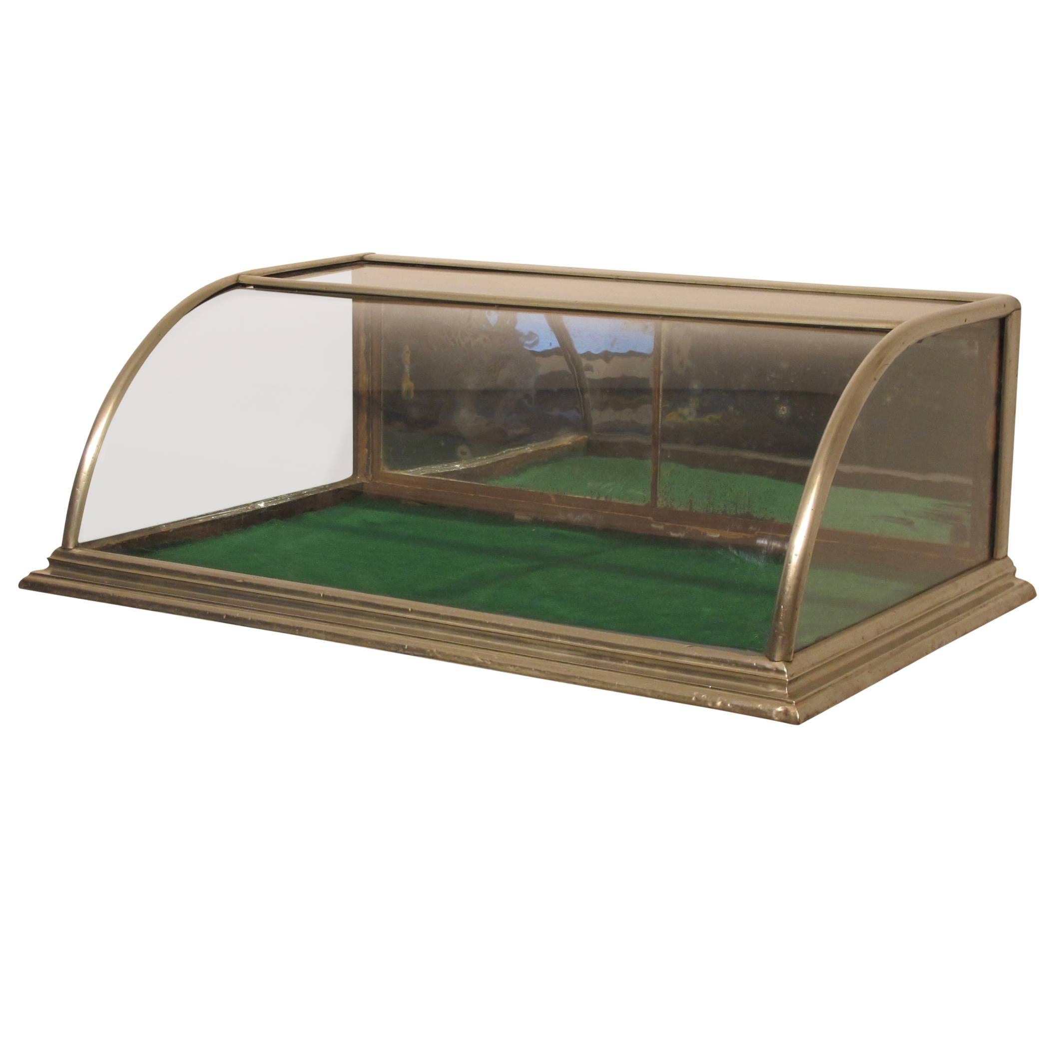 Antique Nickel-Plated Display Case at 1stDibs | antique display cases ...