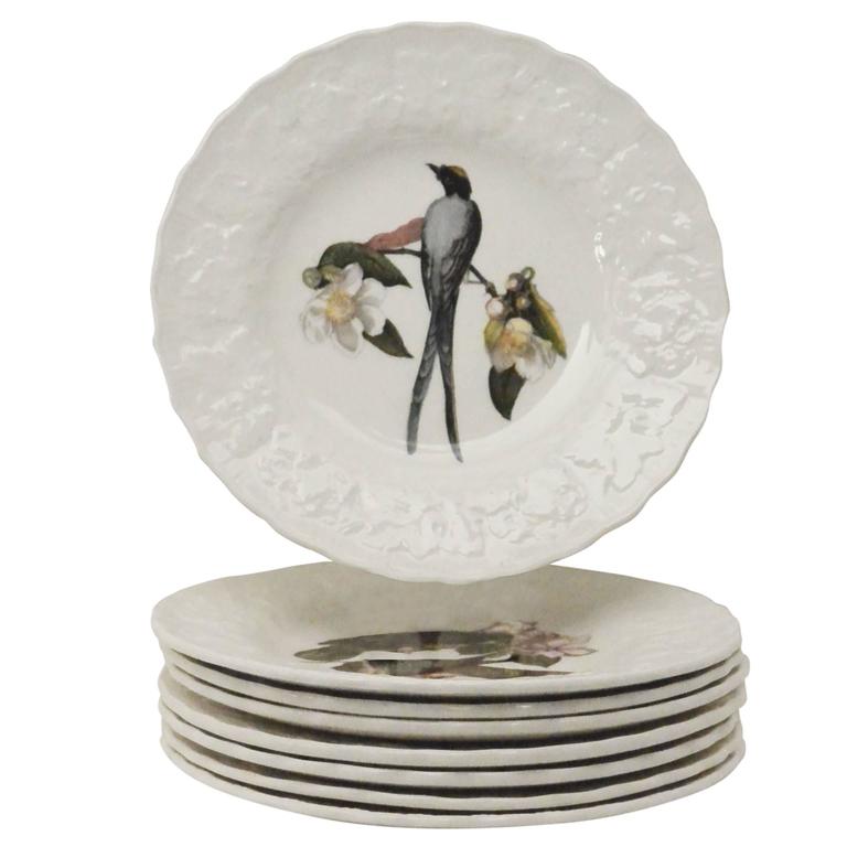 Set of Eight Small Audubon Bird Plates at 1stDibs