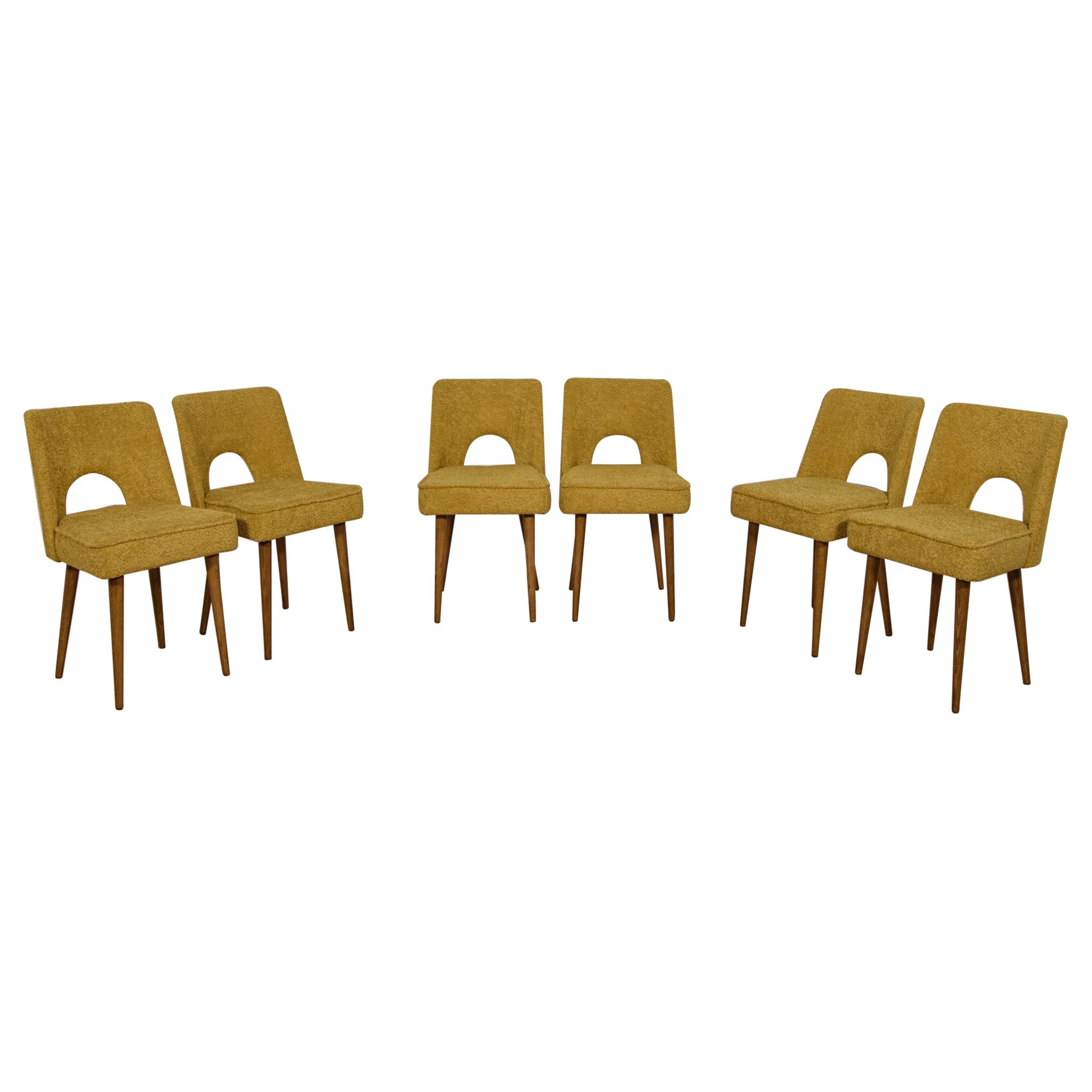 Polish Shell Chairs from Bydgoszcz Furniture Factory, 1960s, Set of 6 ...