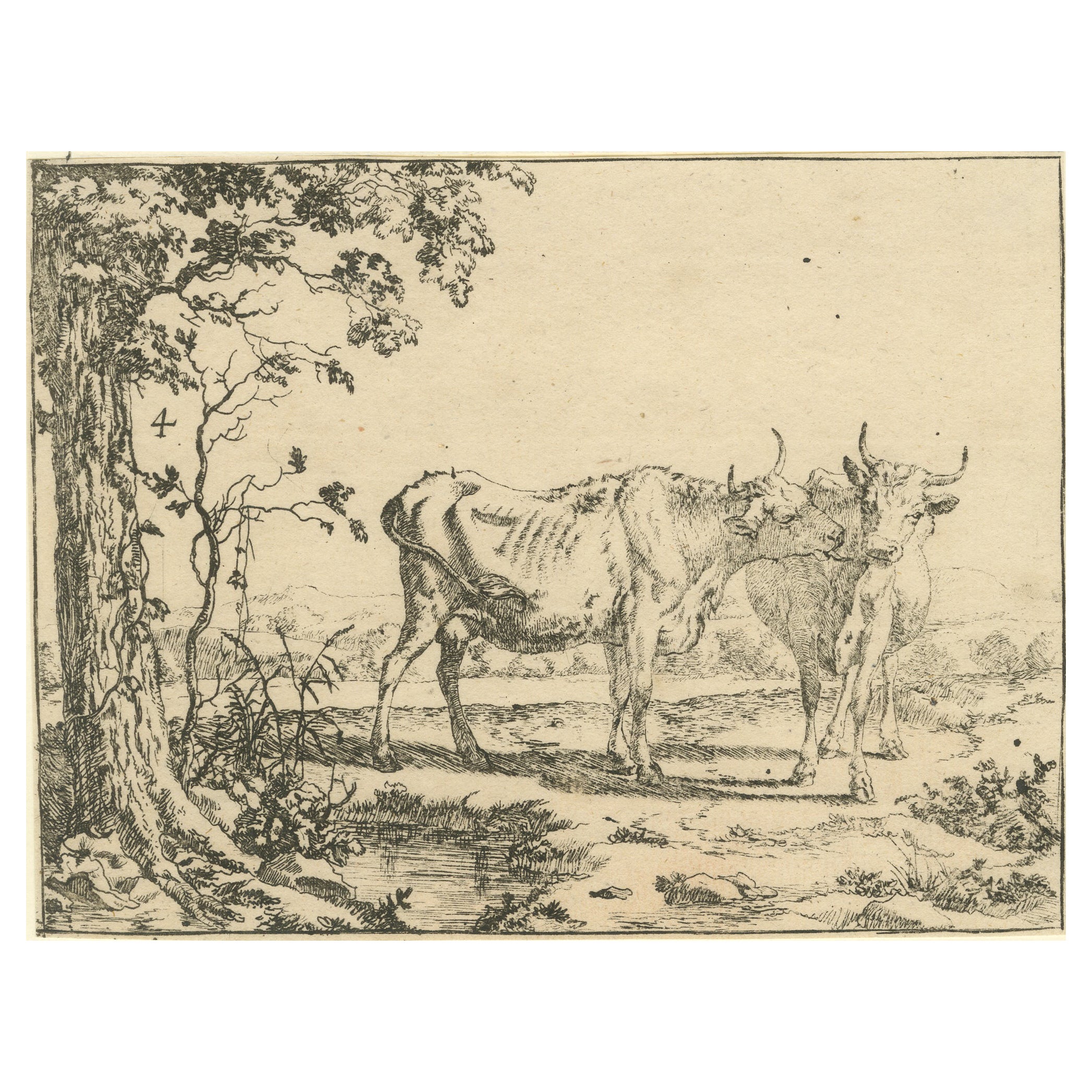 Two Cows by a Tree: An Old Master Print by Marcus de Bye after Paulus ...