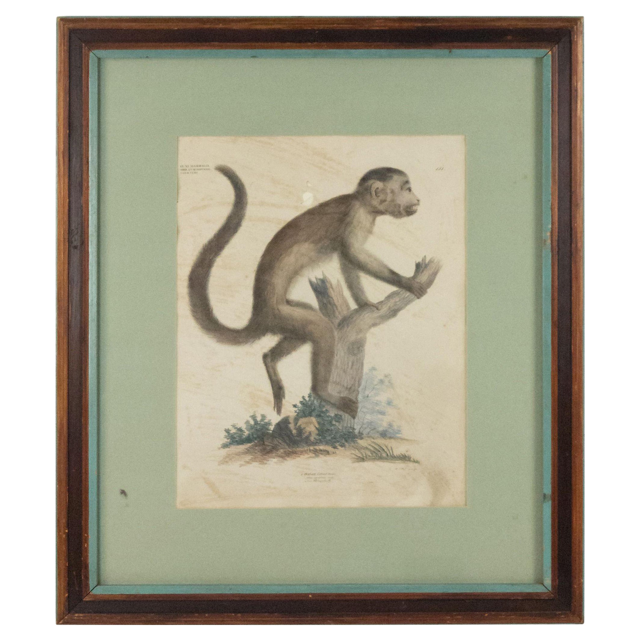 French Victorian Monkey Engraving Print For Sale at 1stDibs