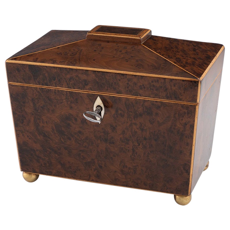 Regency Tea Caddy of Sarcophagus Form Burr Yew c1820 For Sale at 1stDibs