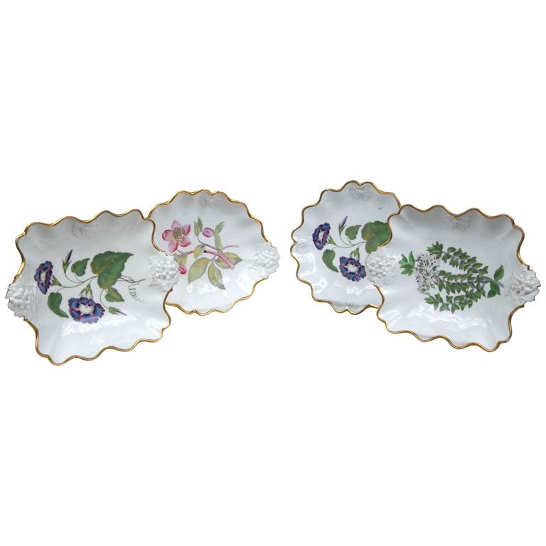 Set of Four Botanical Porcelain Plates at 1stDibs