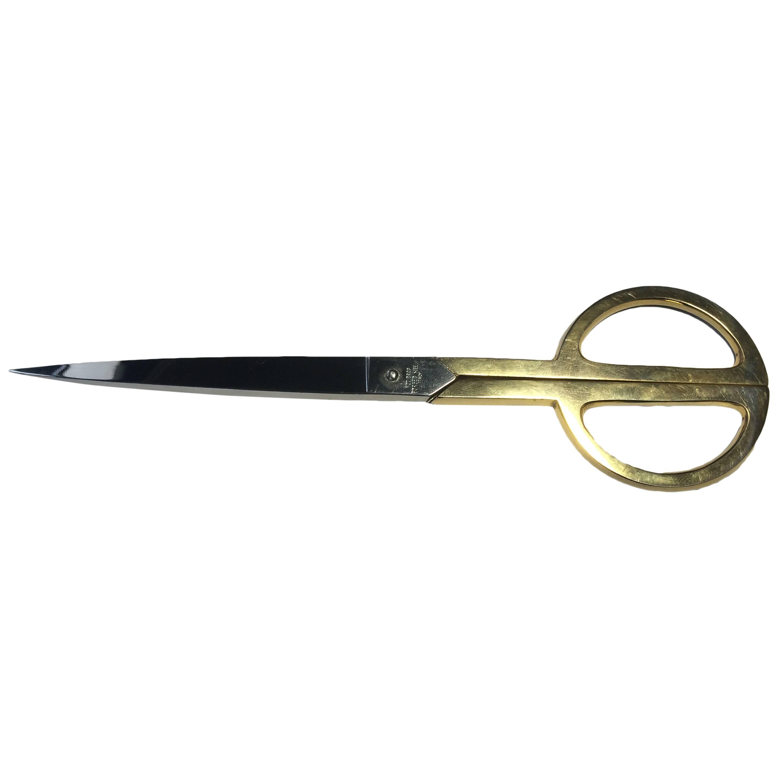 Italian Made Brass Plate and Stainless Steel Scissors For Sale at ...