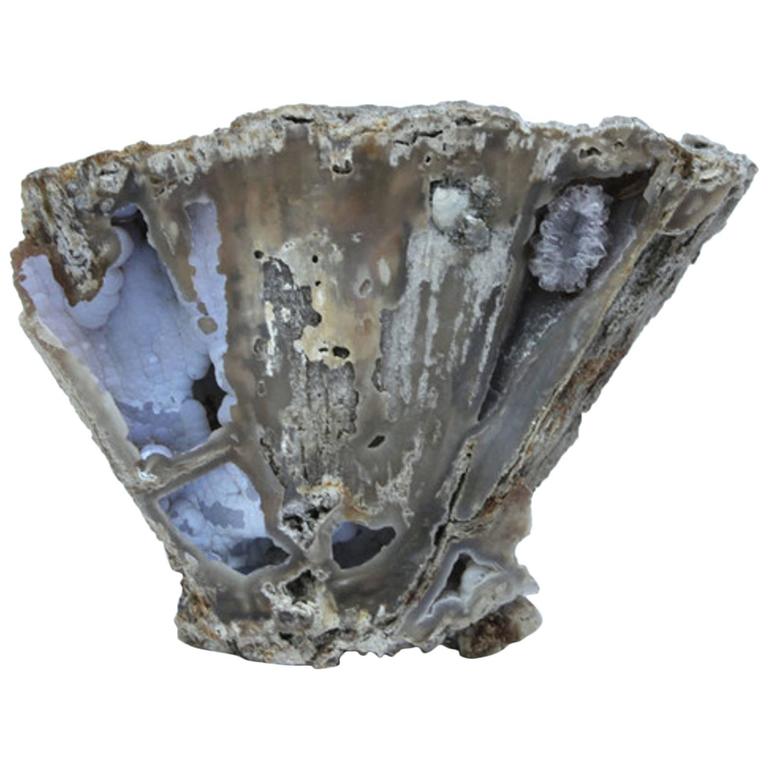 Fossil Agate Coral with a Stalactite For Sale at 1stDibs