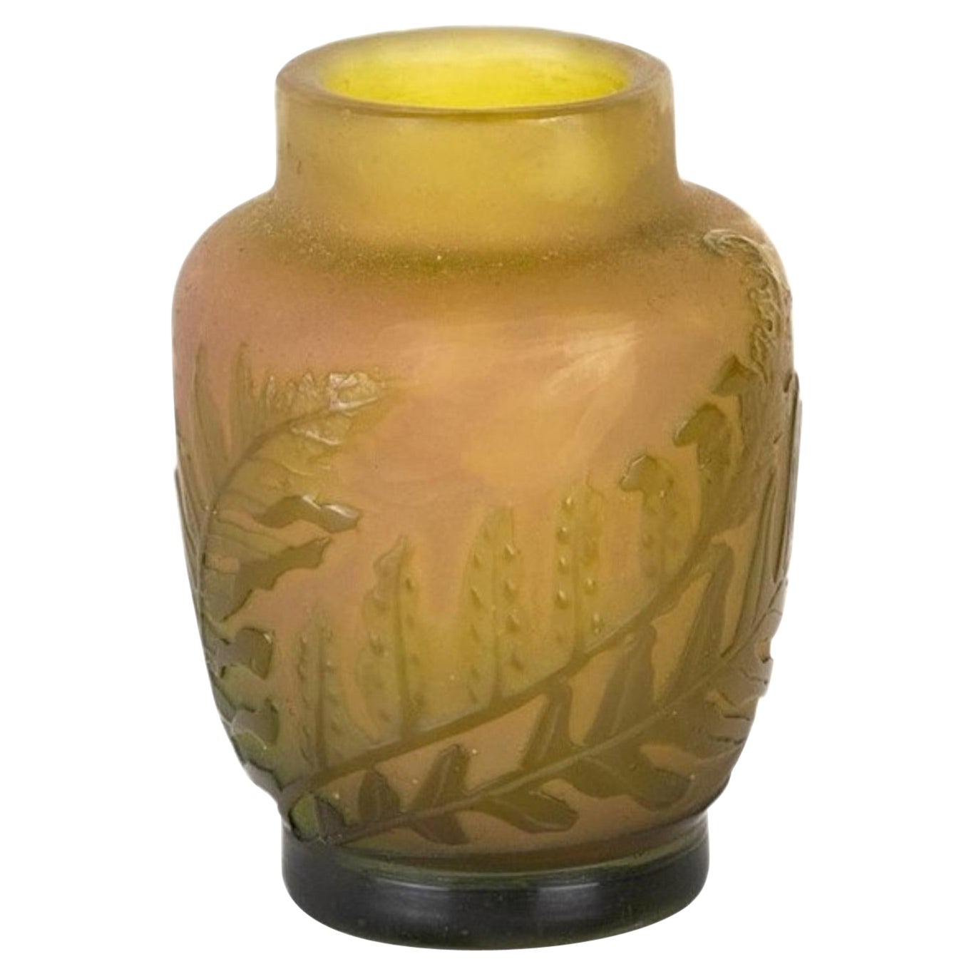 Cameo Glass Vase Green Fern by Emile Galle, 20th Century For Sale at ...