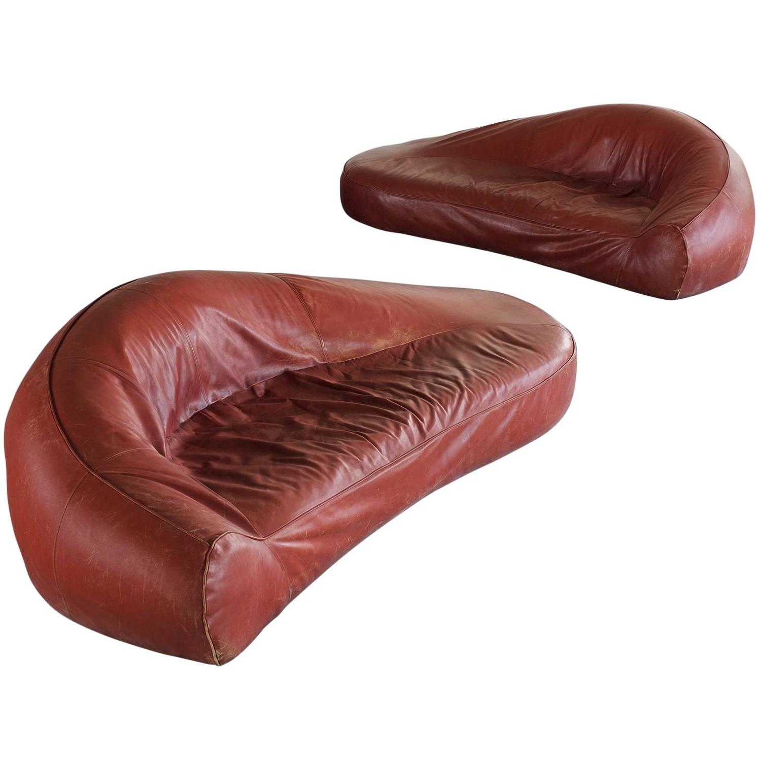 Exceptional Set of Two Organic Shaped Sofa's in Patinated Leather For ...