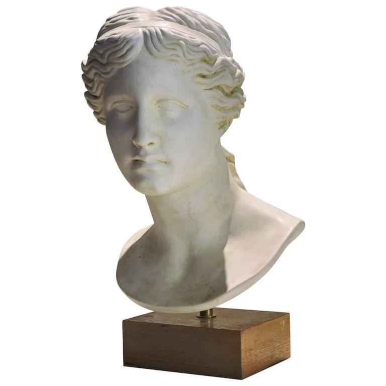 Plaster Bust of Diana after the Antiquity For Sale at 1stDibs | diana ...