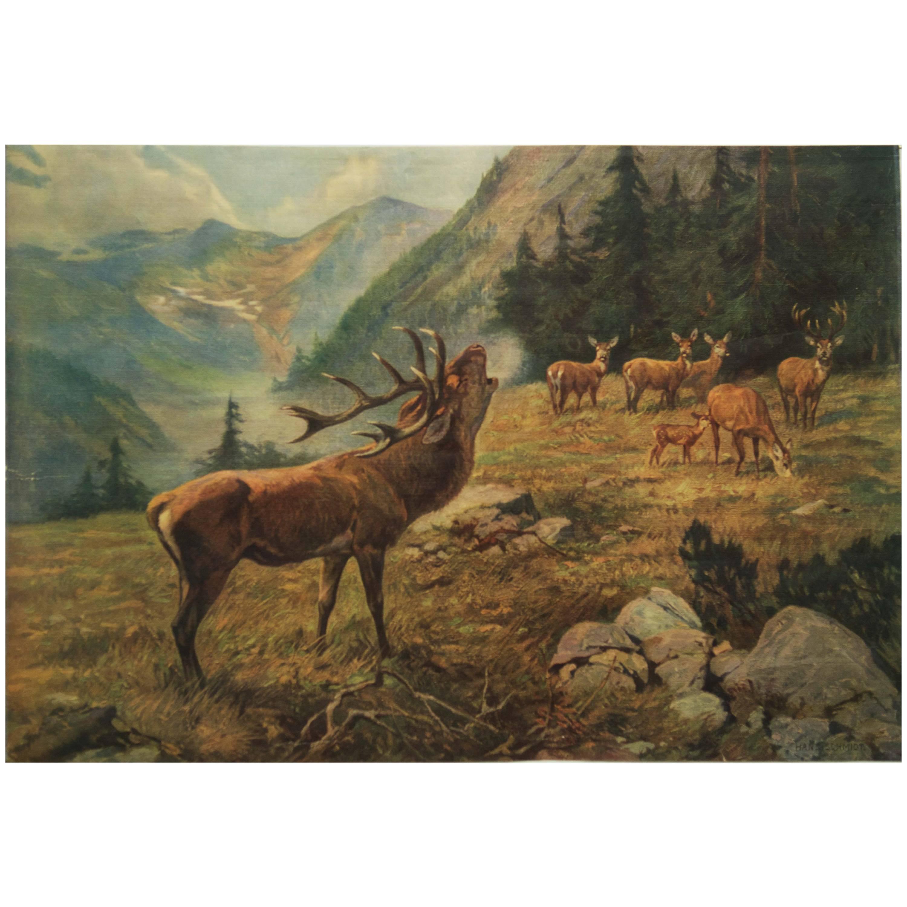 Antique German School, Teaching Chart, Poster "Deers" at 1stDibs