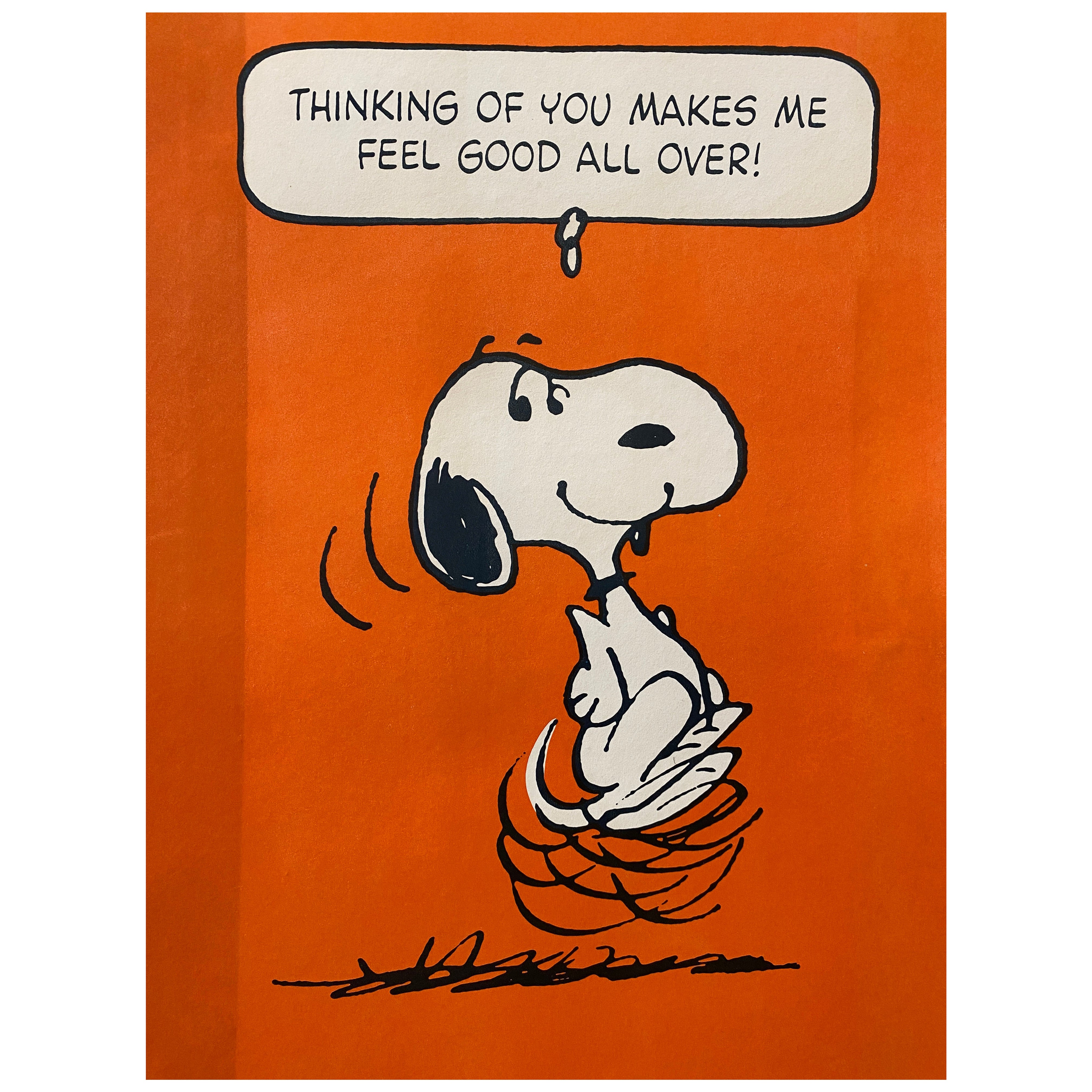 Original Vintage Cartoon Dog Snoopy Poster "I Think I'm Allergic to ...