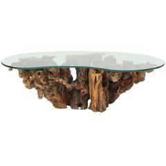 Organic Free-Form Driftwood Coffee Table at 1stDibs