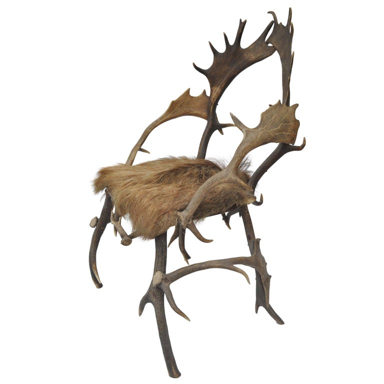 Early 19th Century Elk Antler Chair From Germany with Natural Boar Hair ...