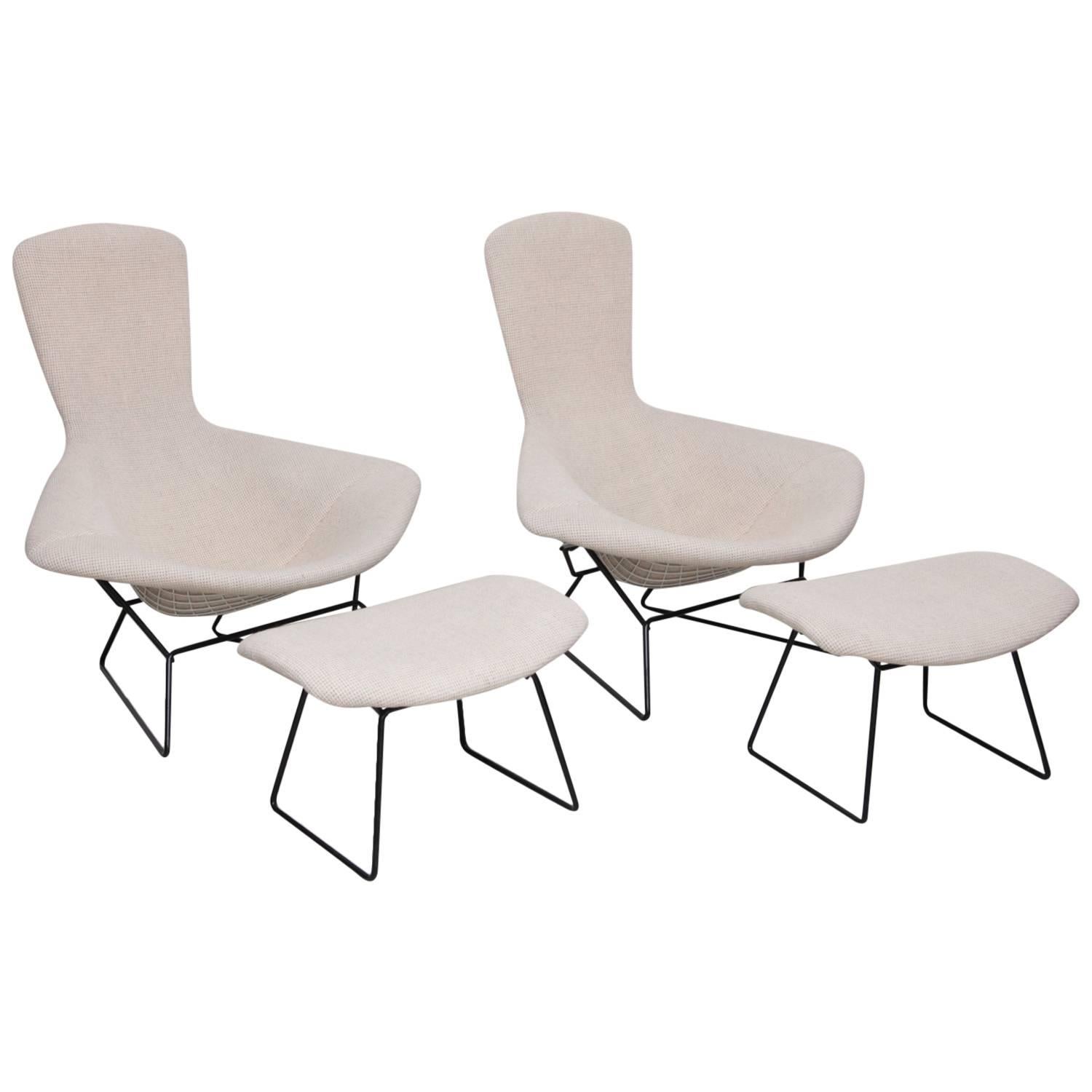Pair of Harry Bertoia Bird Chairs with Ottoman for Knoll at 1stDibs