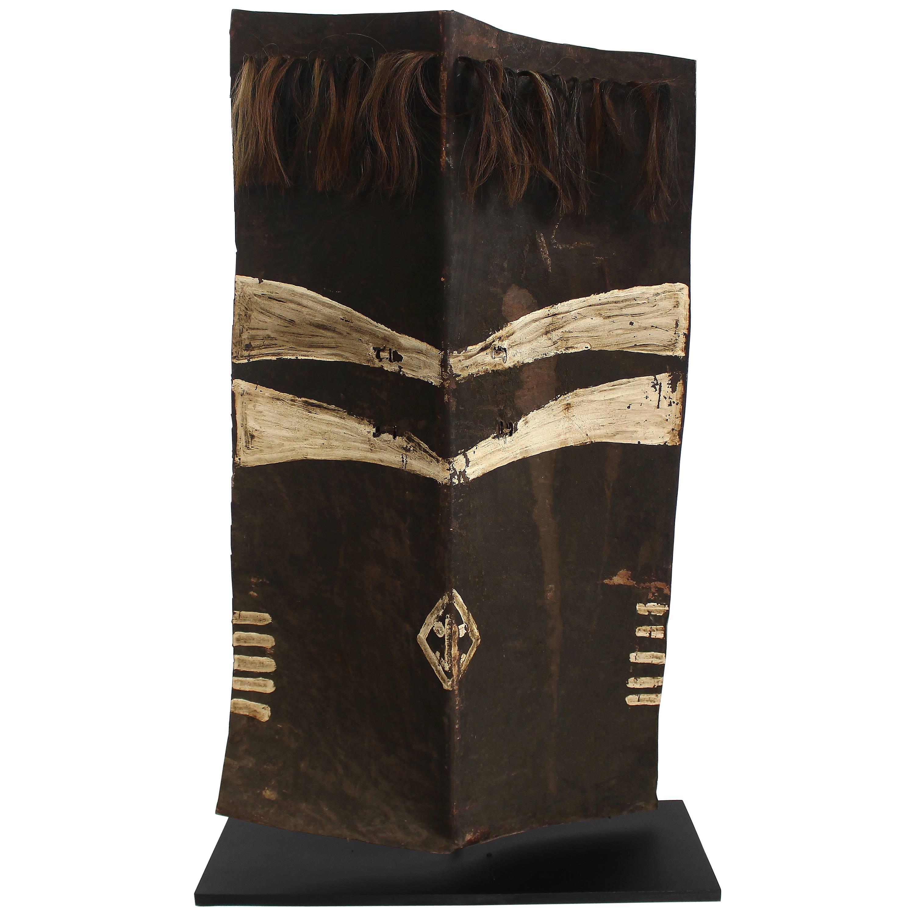 Naga Warrior’s Shield with Hair and Painted Decoration at 1stDibs