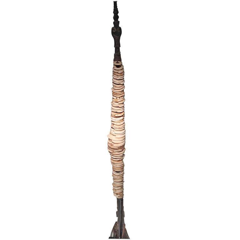 Money Stick, Shell, Papua New Guinea, 20th Century For Sale at 1stDibs