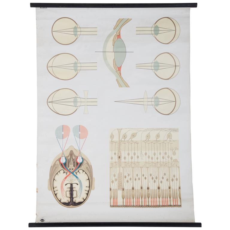 Vintage Eye Chart at 1stdibs