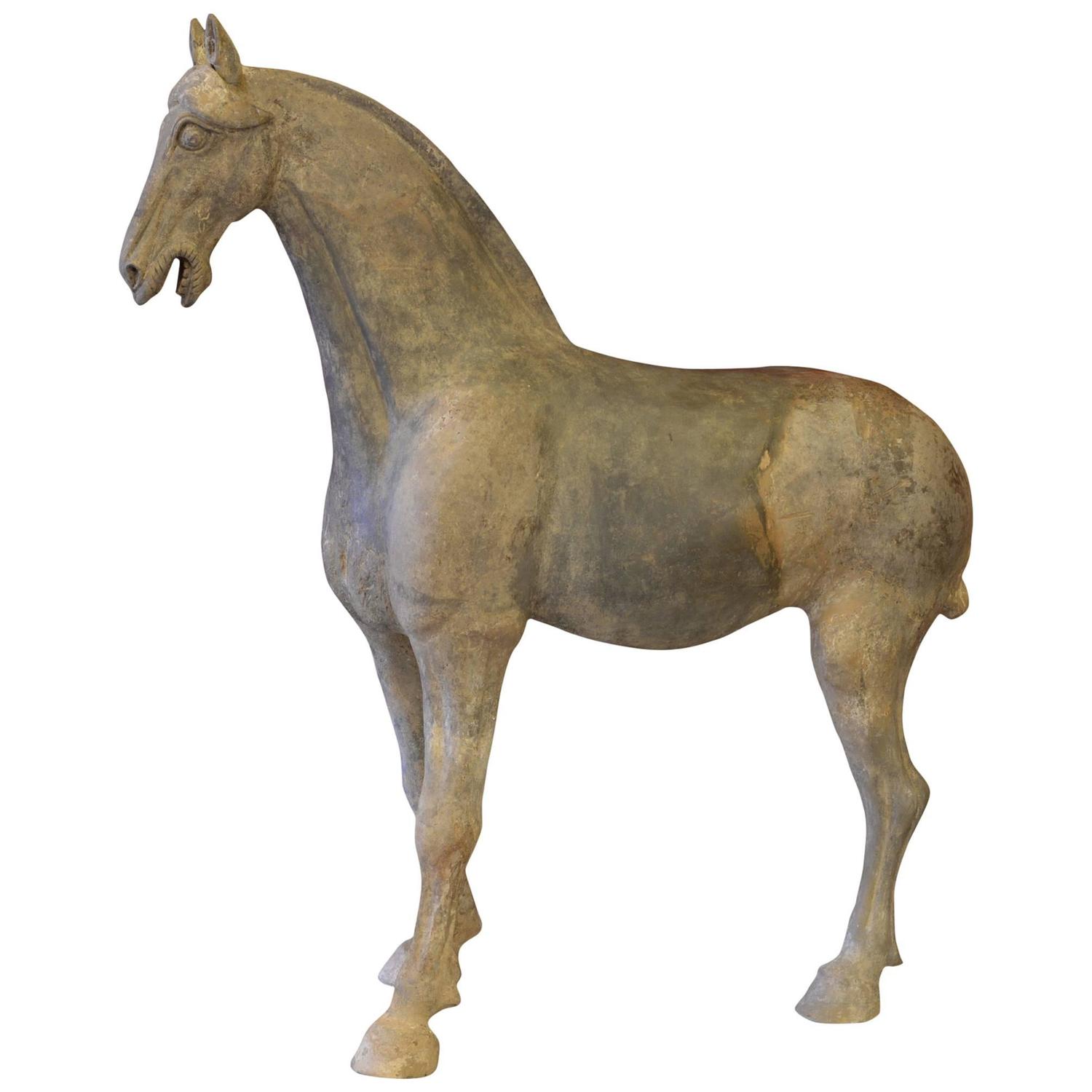 Ancient Chinese Horse Tang Dynasty at 1stdibs