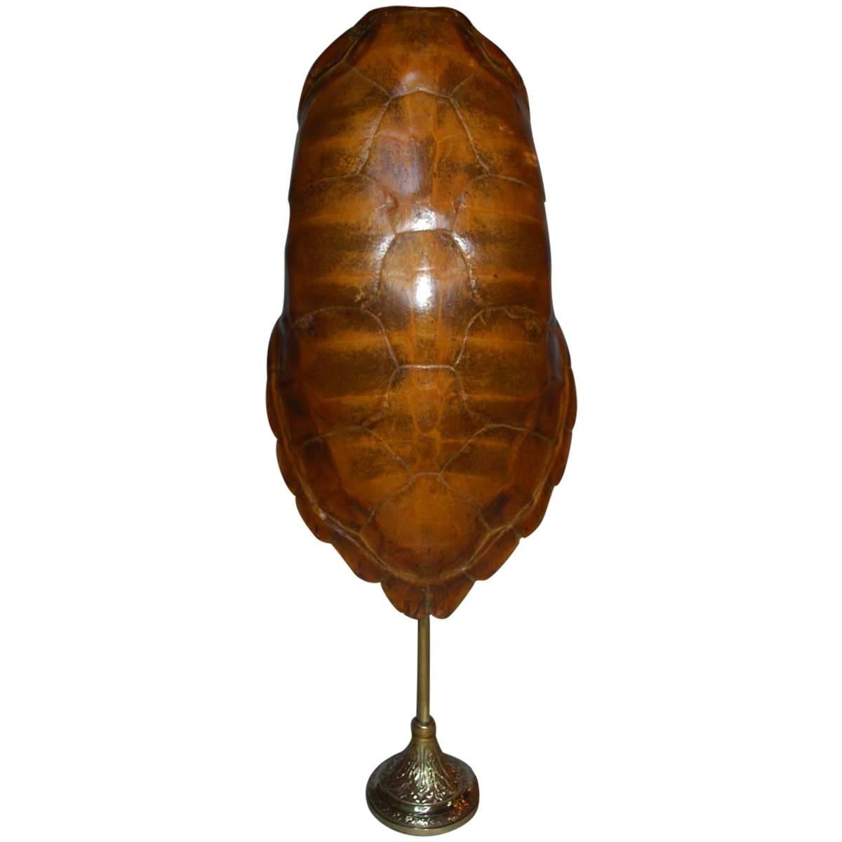 Extremely Large 20th Century Sea Turtle Shell Shield on Stand at 1stDibs